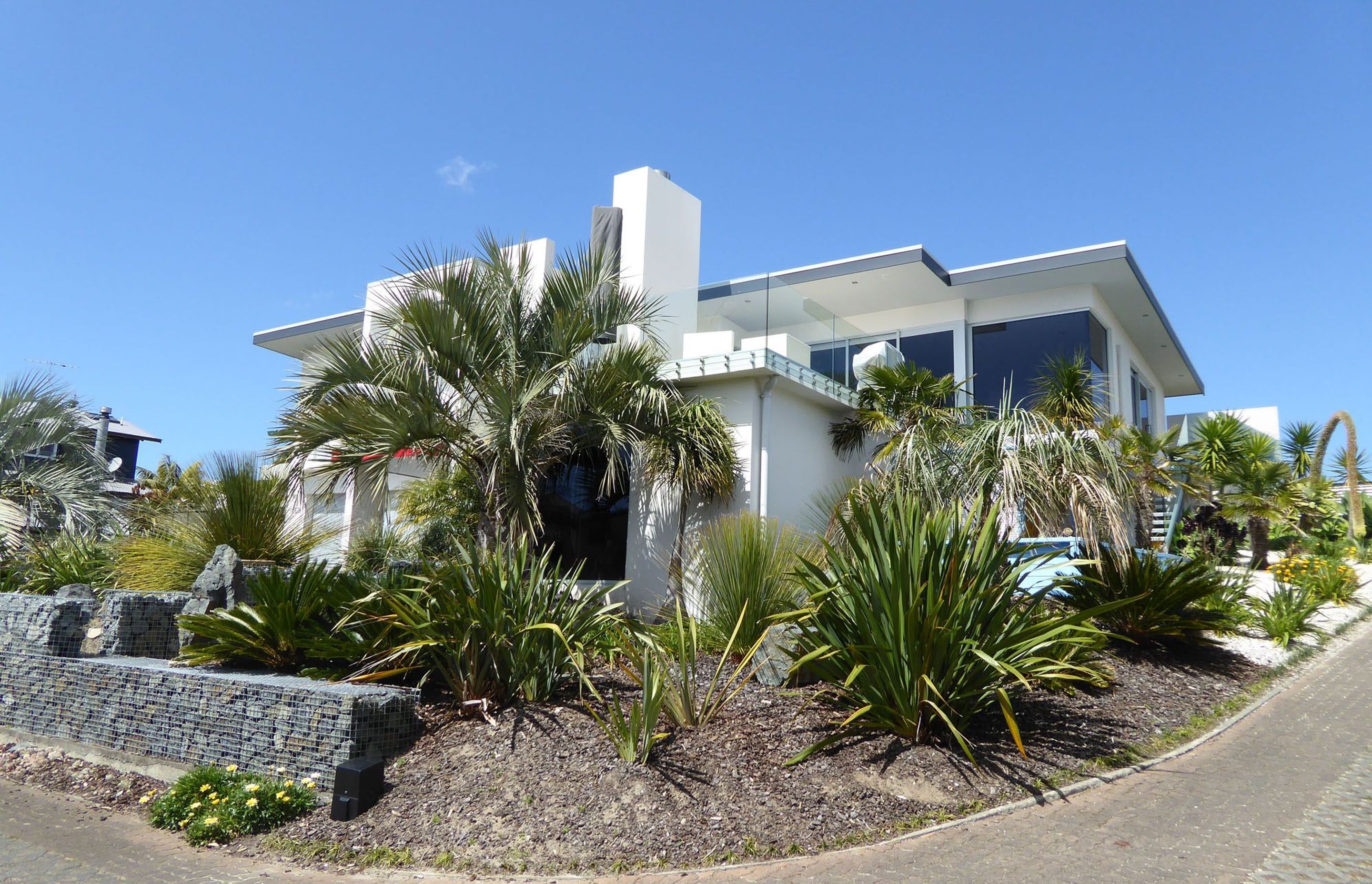 Palm Tree House by On Point Painters | ArchiPro NZ