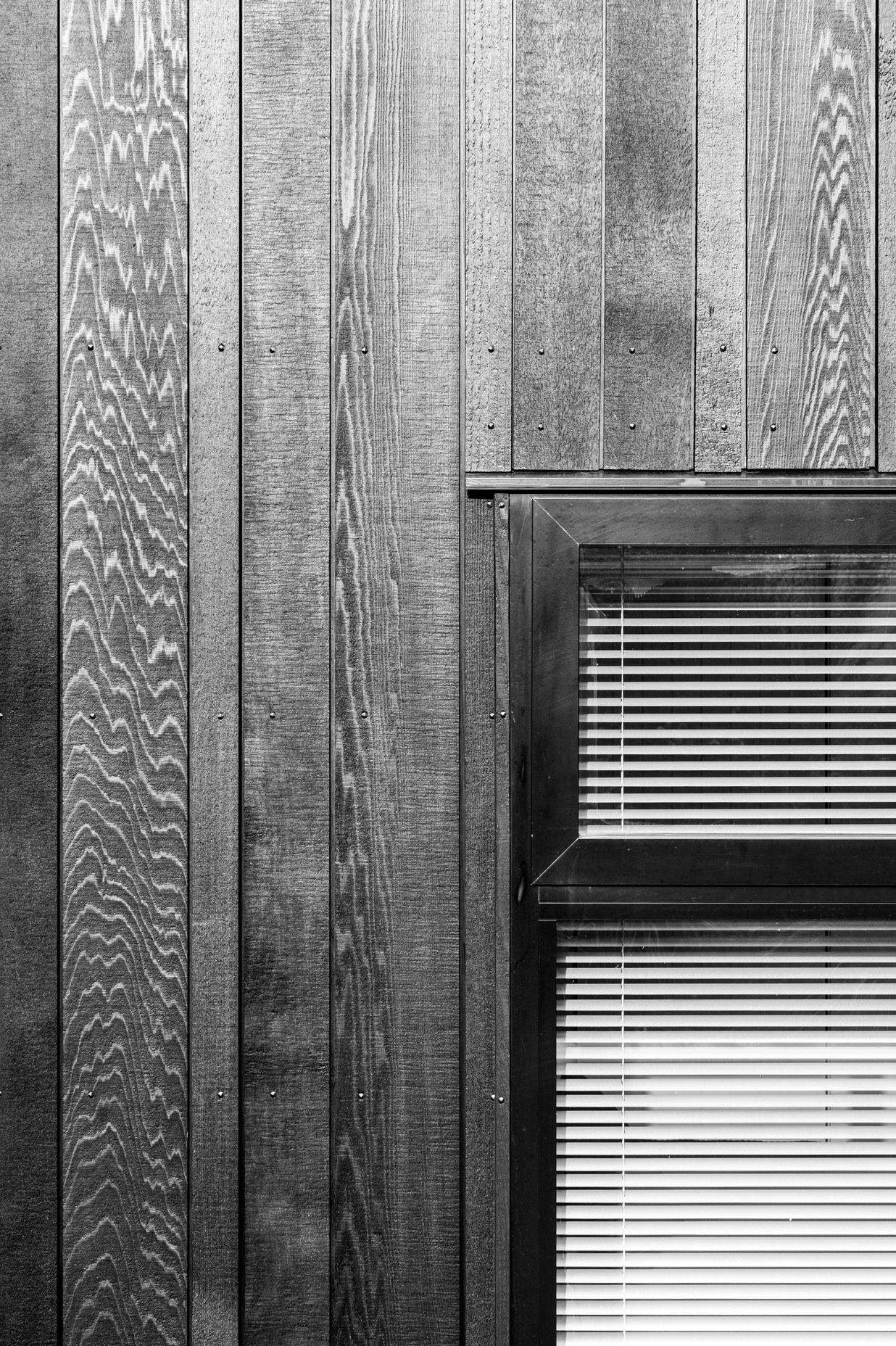 Totara House by Hurley Architects | ArchiPro NZ