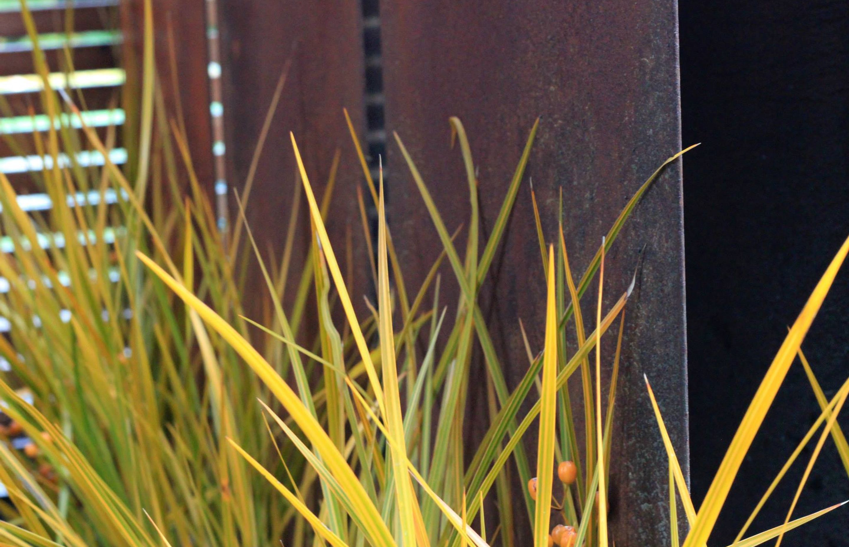 Project Steel by Design + Garden Landscapes | ArchiPro NZ