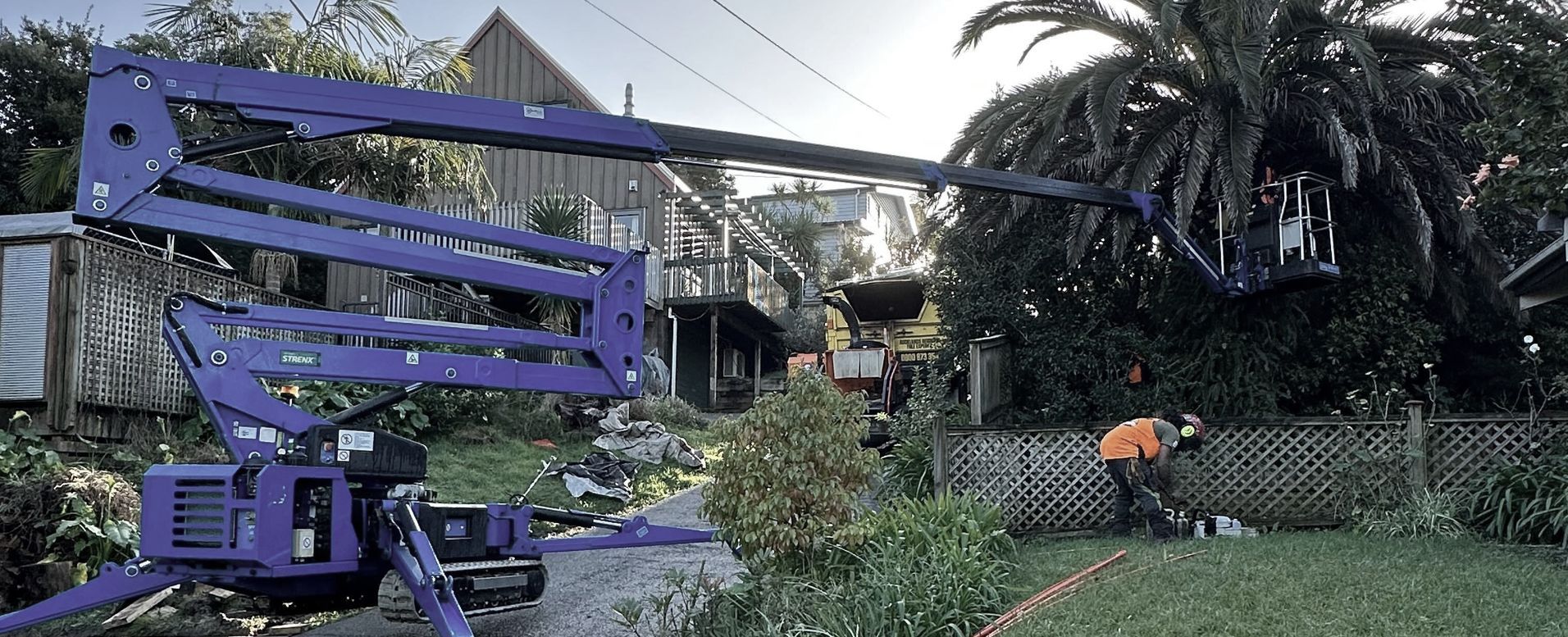 Tree King | ArchiPro NZ