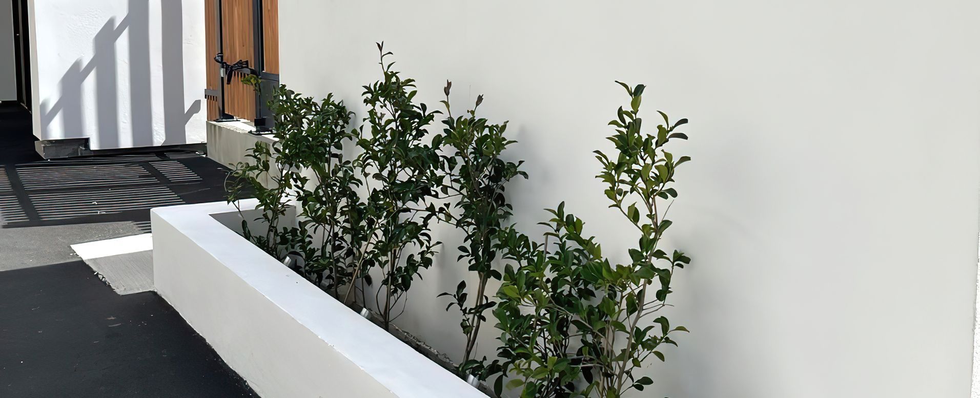 Three Trees Landscaping | ArchiPro NZ