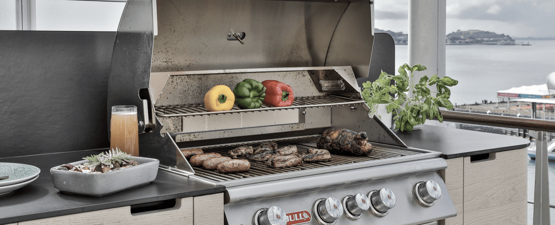 Bull BBQ | ArchiPro NZ