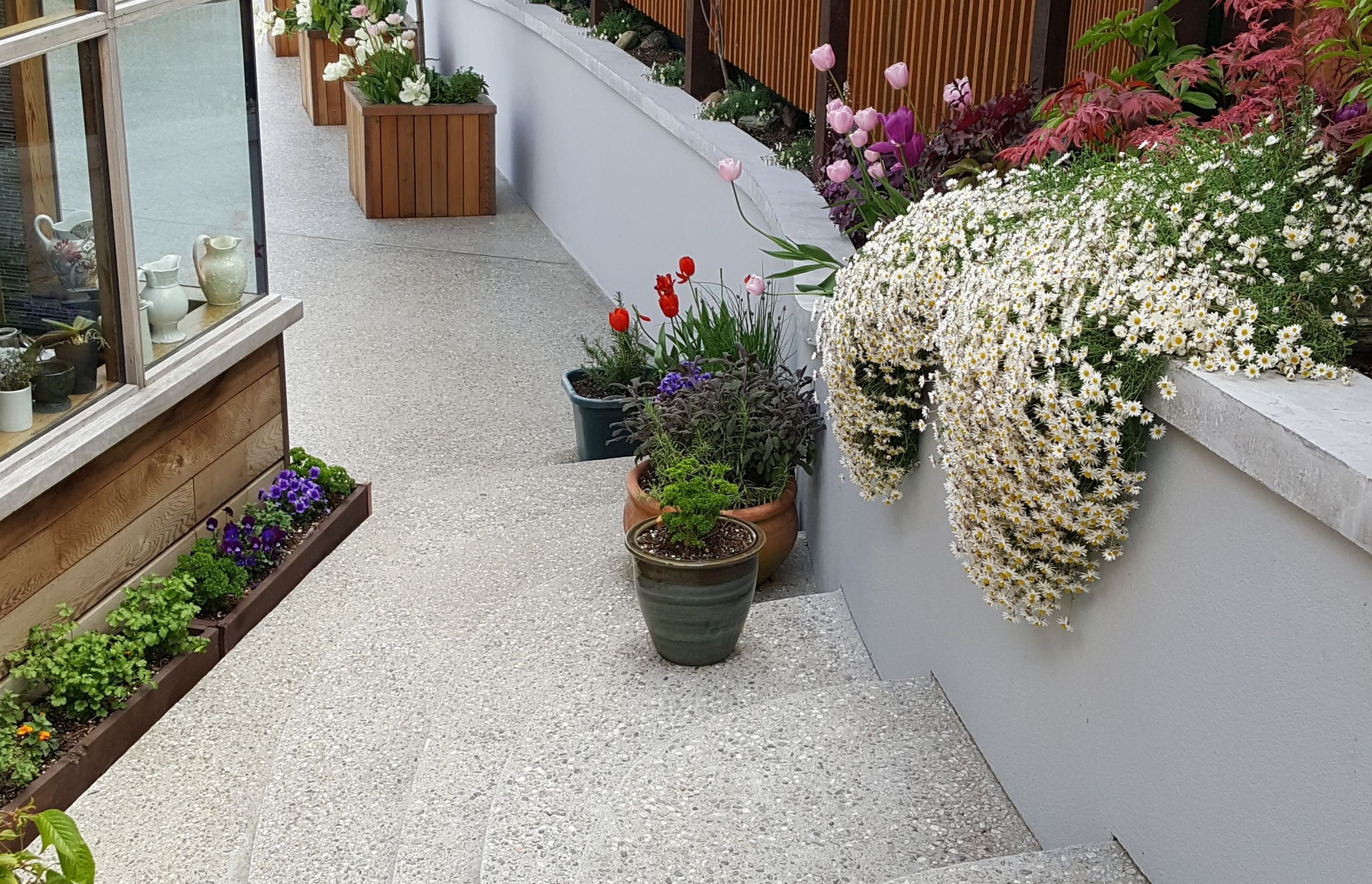 Wilson Renovation by Goodwill Building | ArchiPro NZ