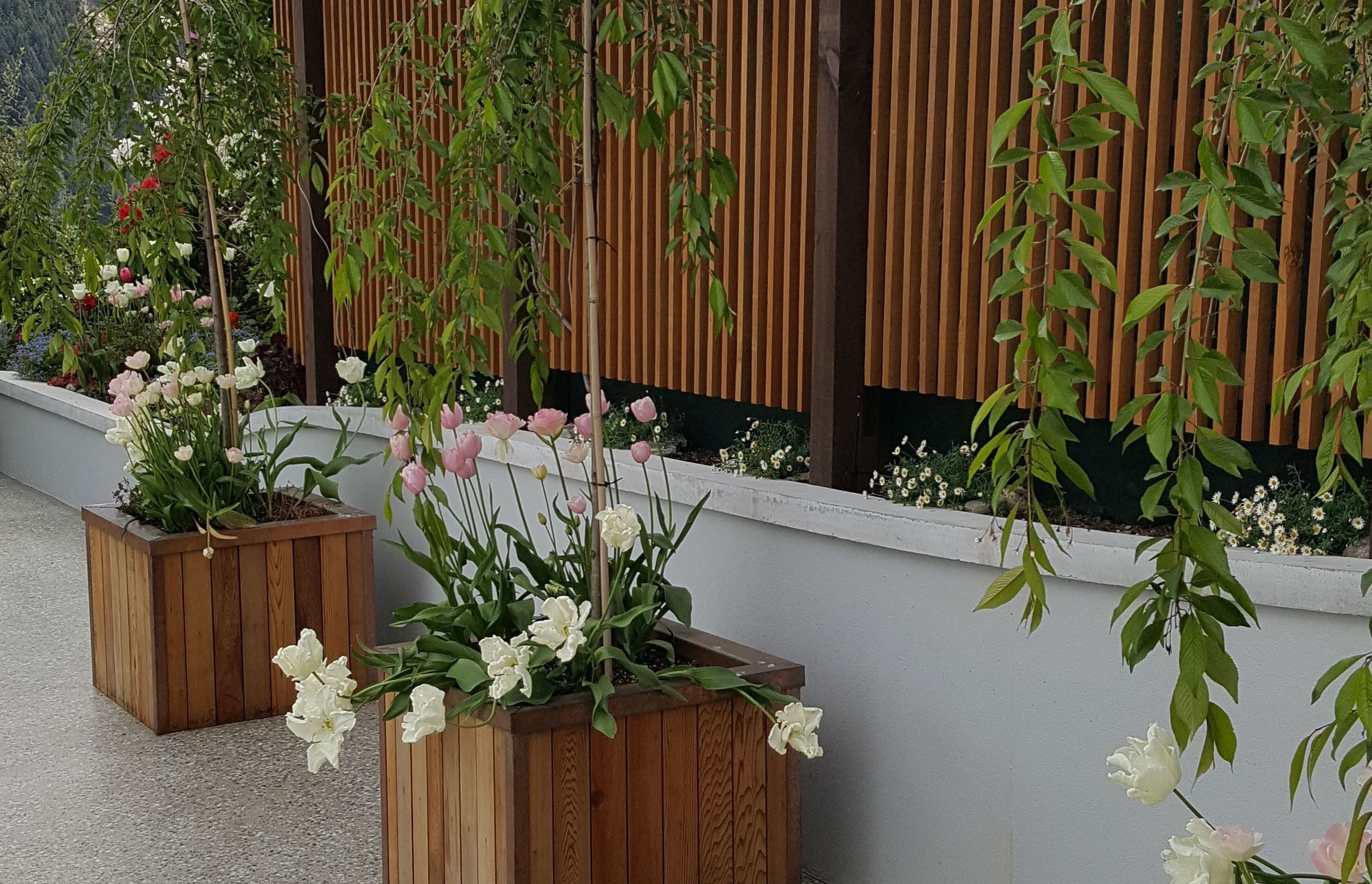 Wilson Renovation by Goodwill Building | ArchiPro NZ