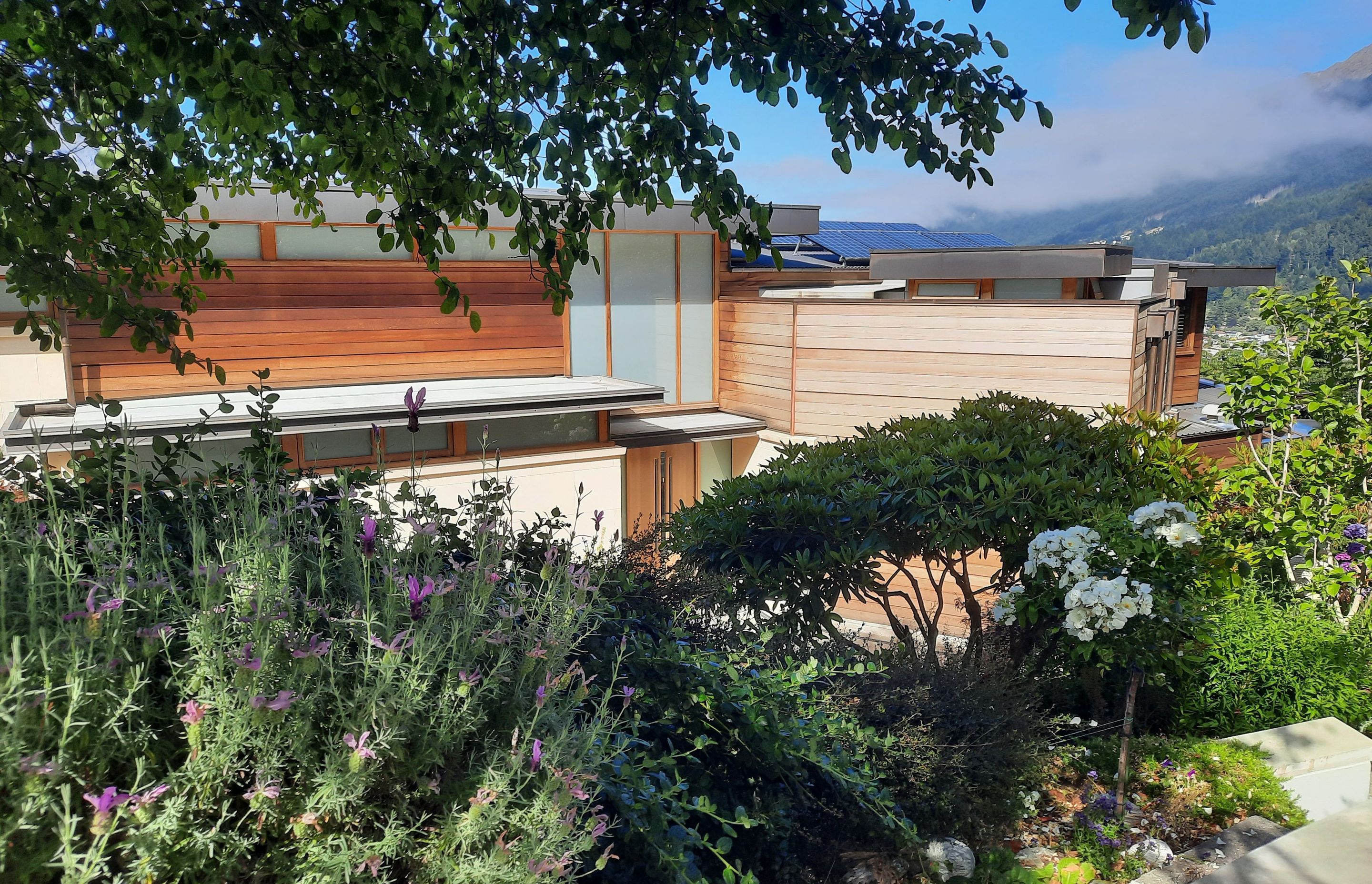 Wilson Renovation by Goodwill Building | ArchiPro NZ