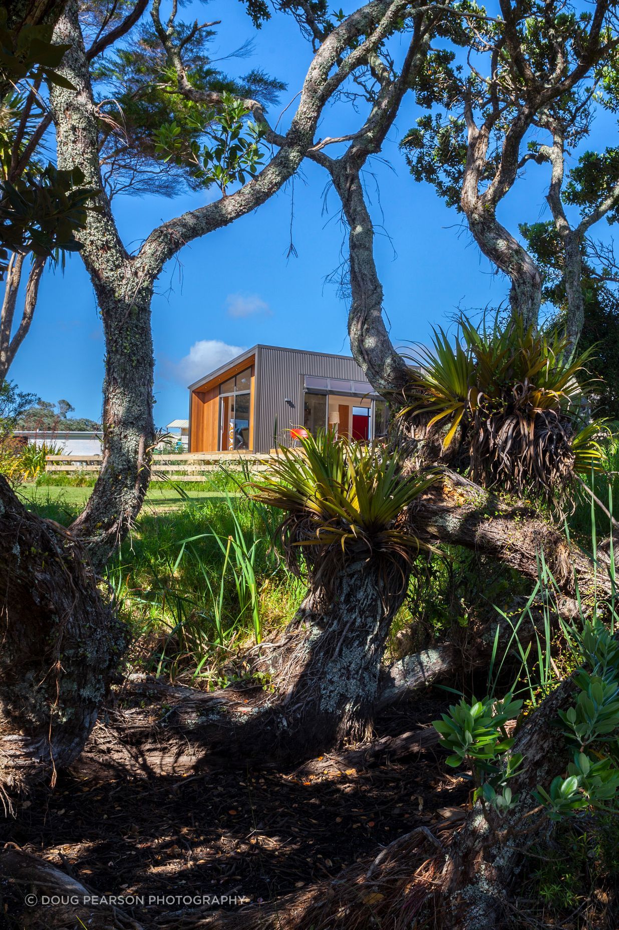 Mangrove House by Doug Pearson Photography | ArchiPro NZ