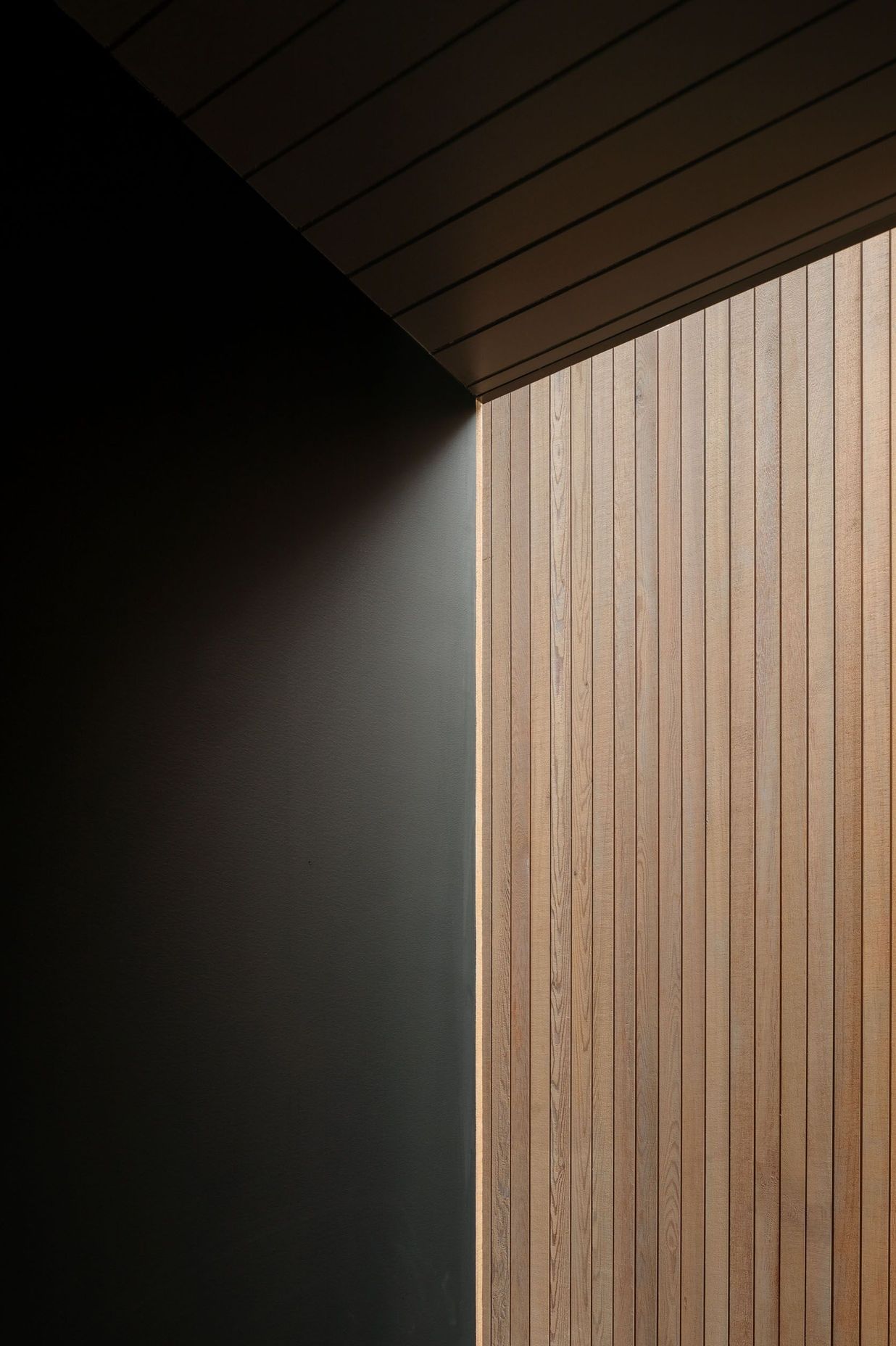 Project Timber: The Dart by JSC | ArchiPro NZ