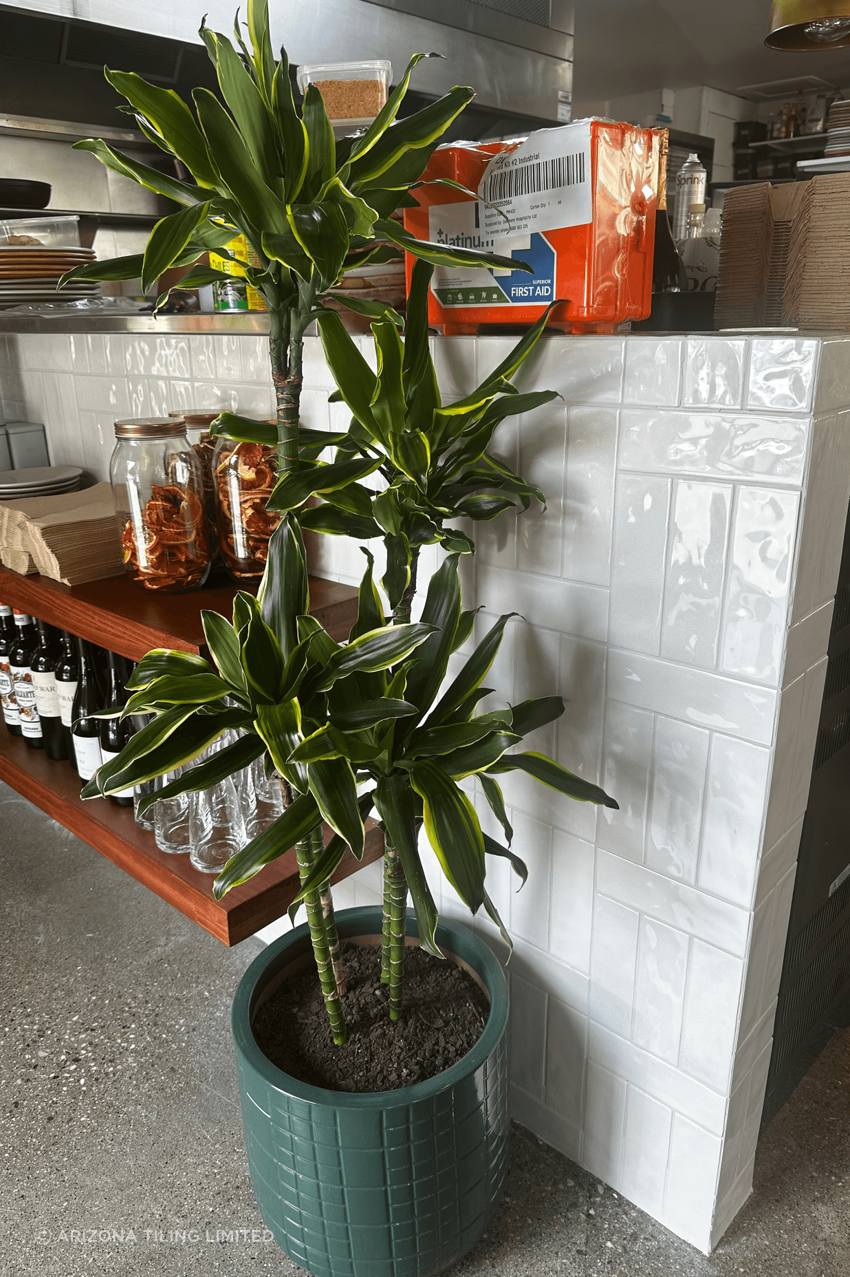 Odd Saint by Arizona Tiling Limited | ArchiPro NZ