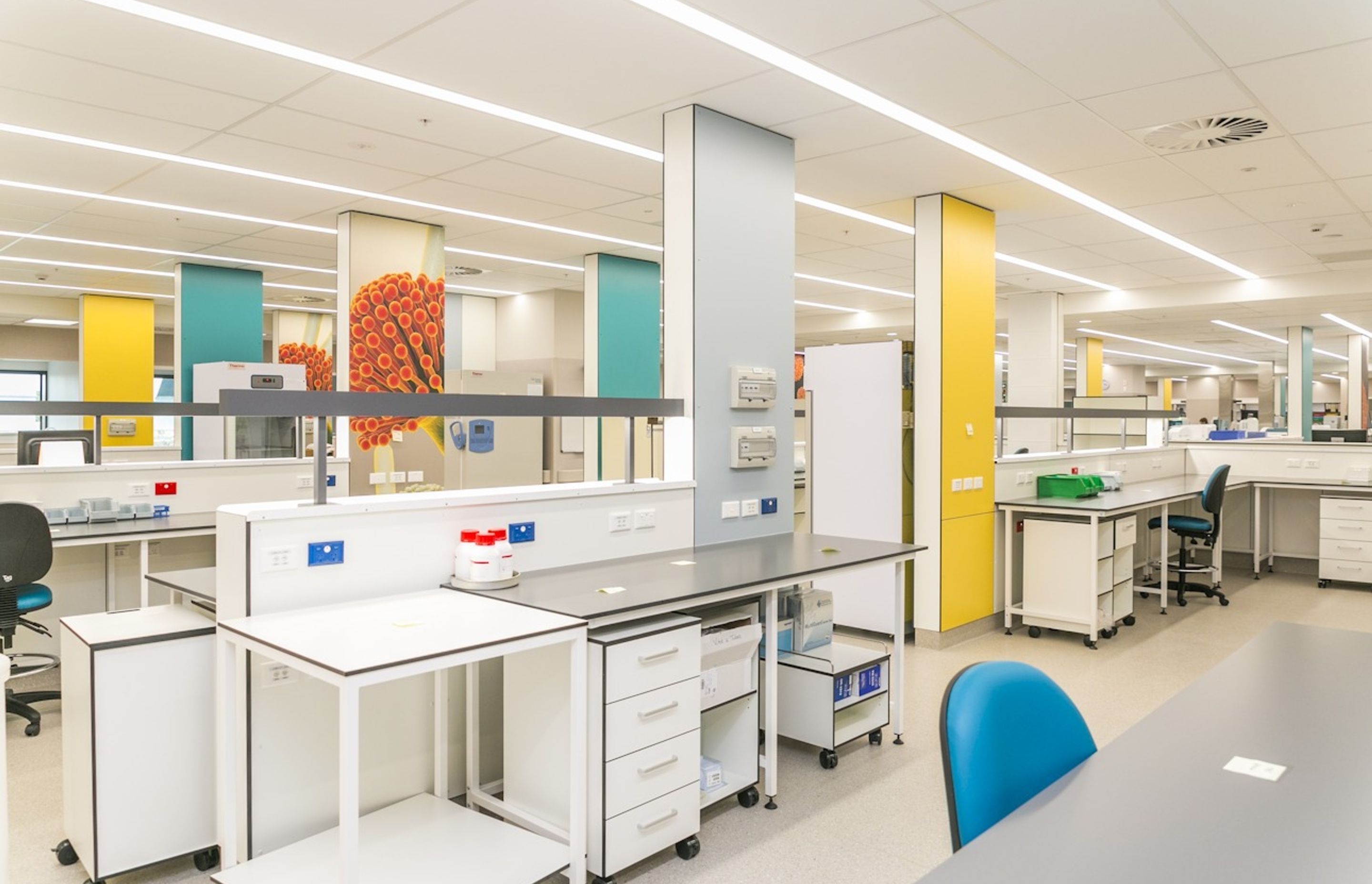 Middlemore Hospital by Silk Design & Build | ArchiPro NZ