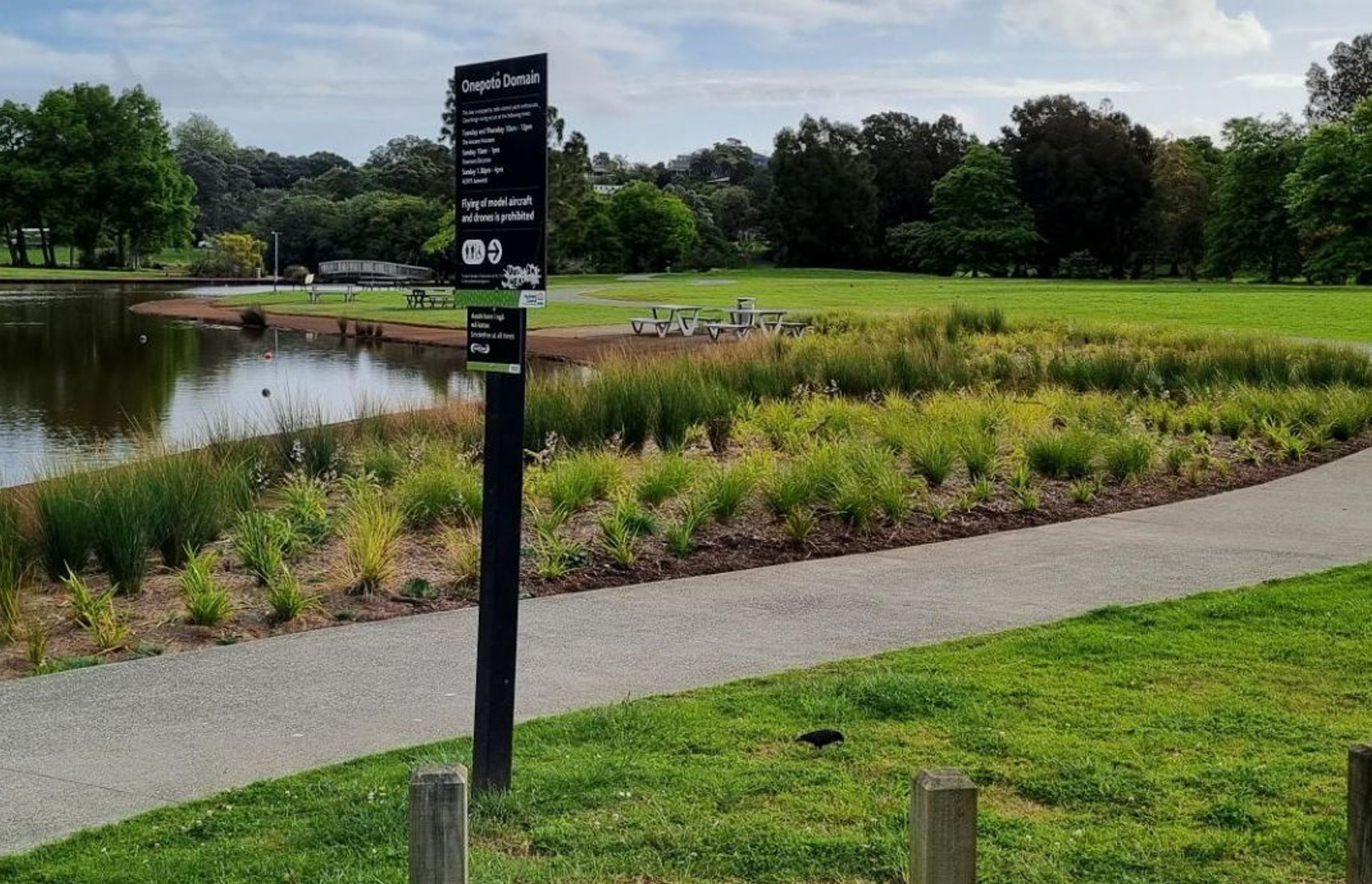 Onepoto Reserve by VSL Landscapes | ArchiPro NZ