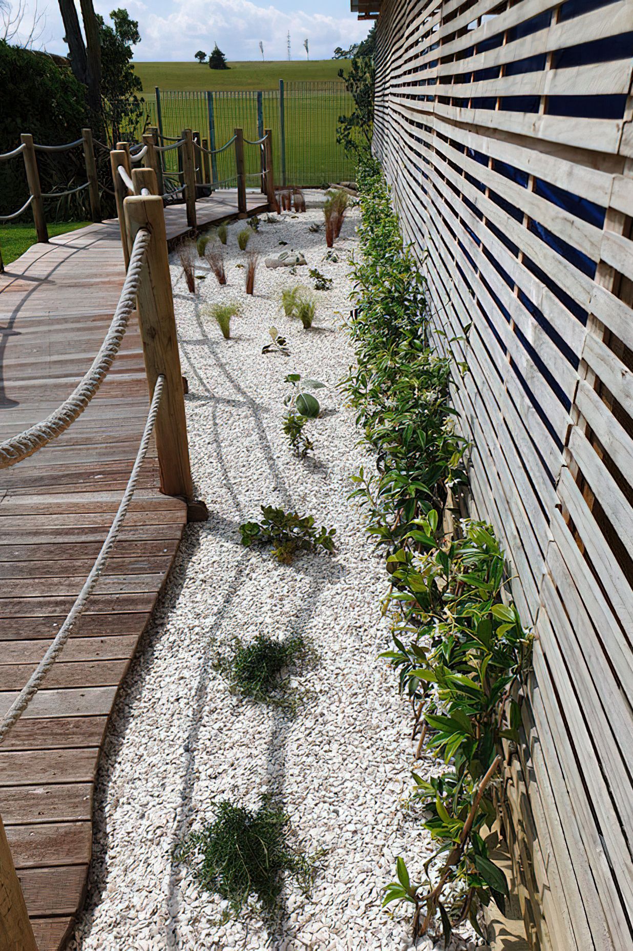 Coastal Garden by Grasshopper Gardens | ArchiPro NZ