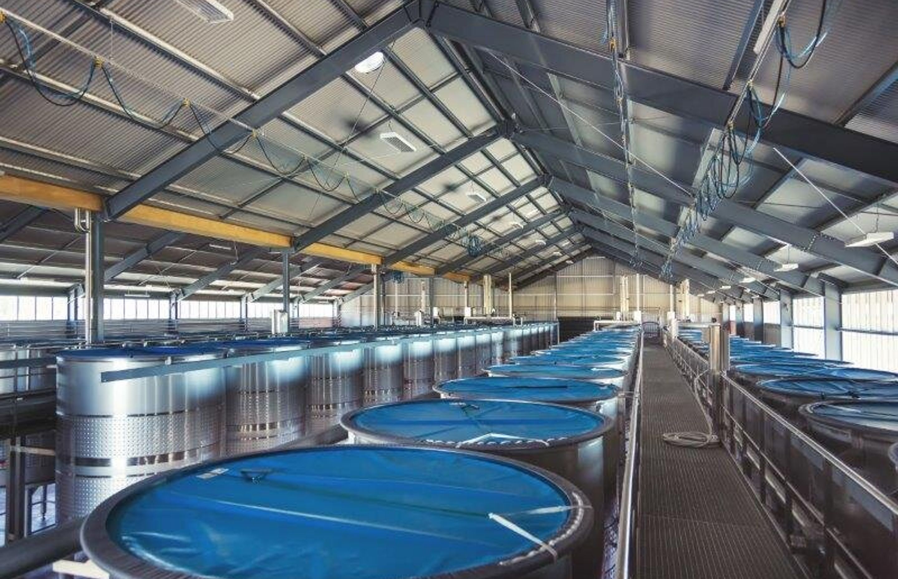 Cloudy Bay: Pinot Noir Cellar by Scott Construction | ArchiPro NZ