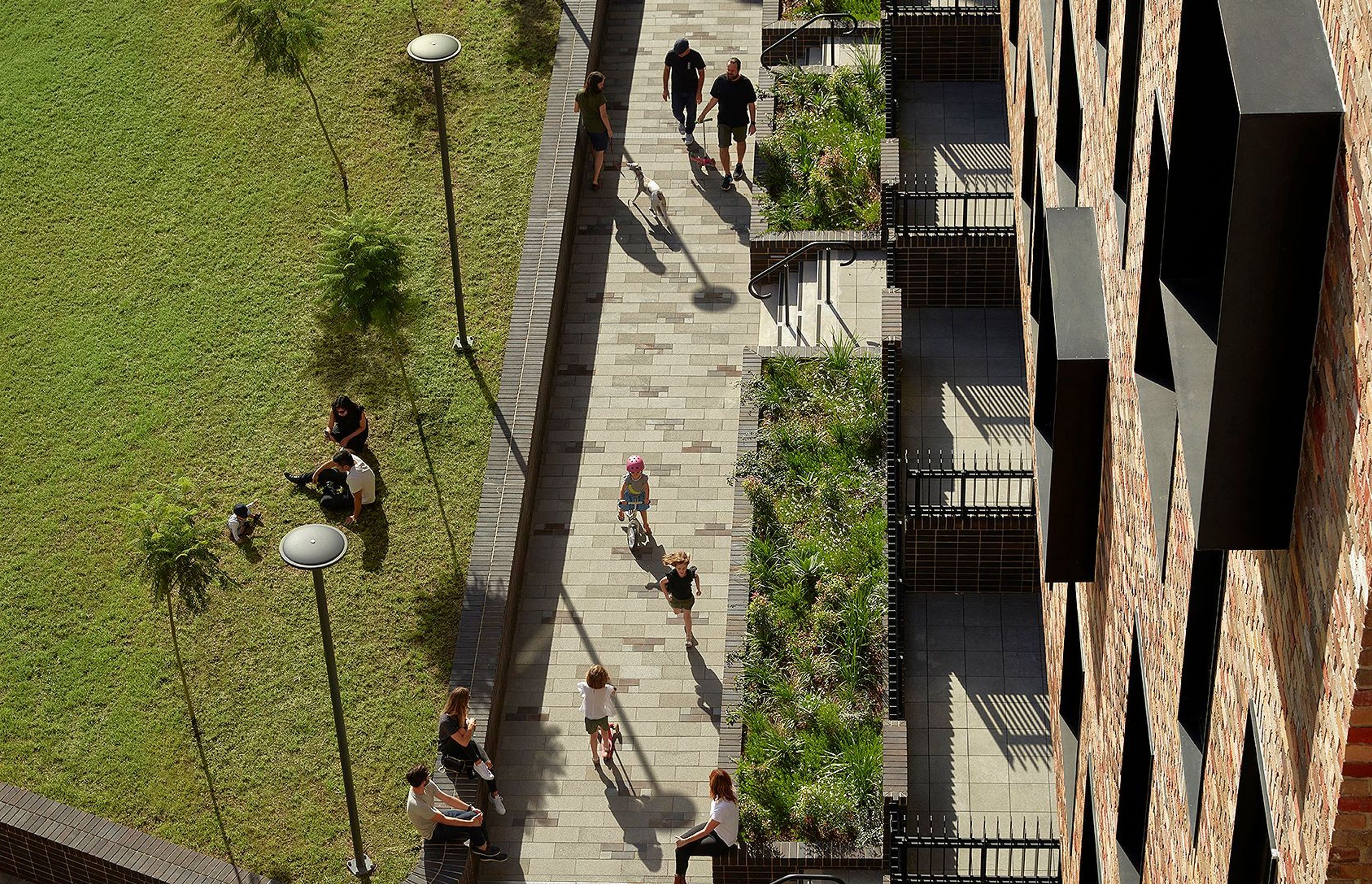 Arkadia by DKO Architecture NZ | ArchiPro NZ