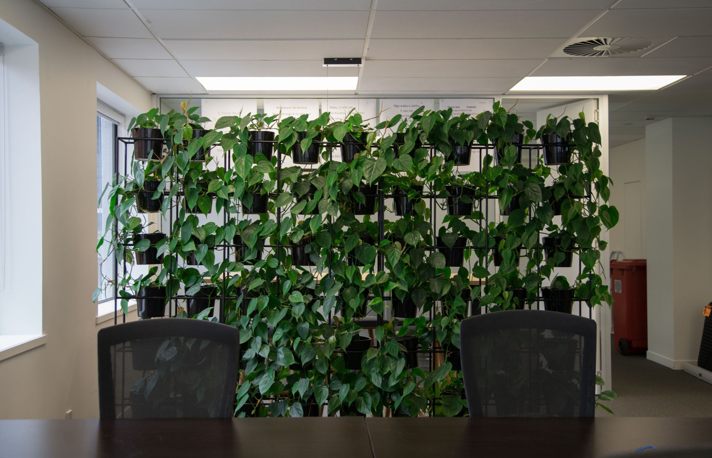 Delta Insurance by Hire Plants | ArchiPro NZ