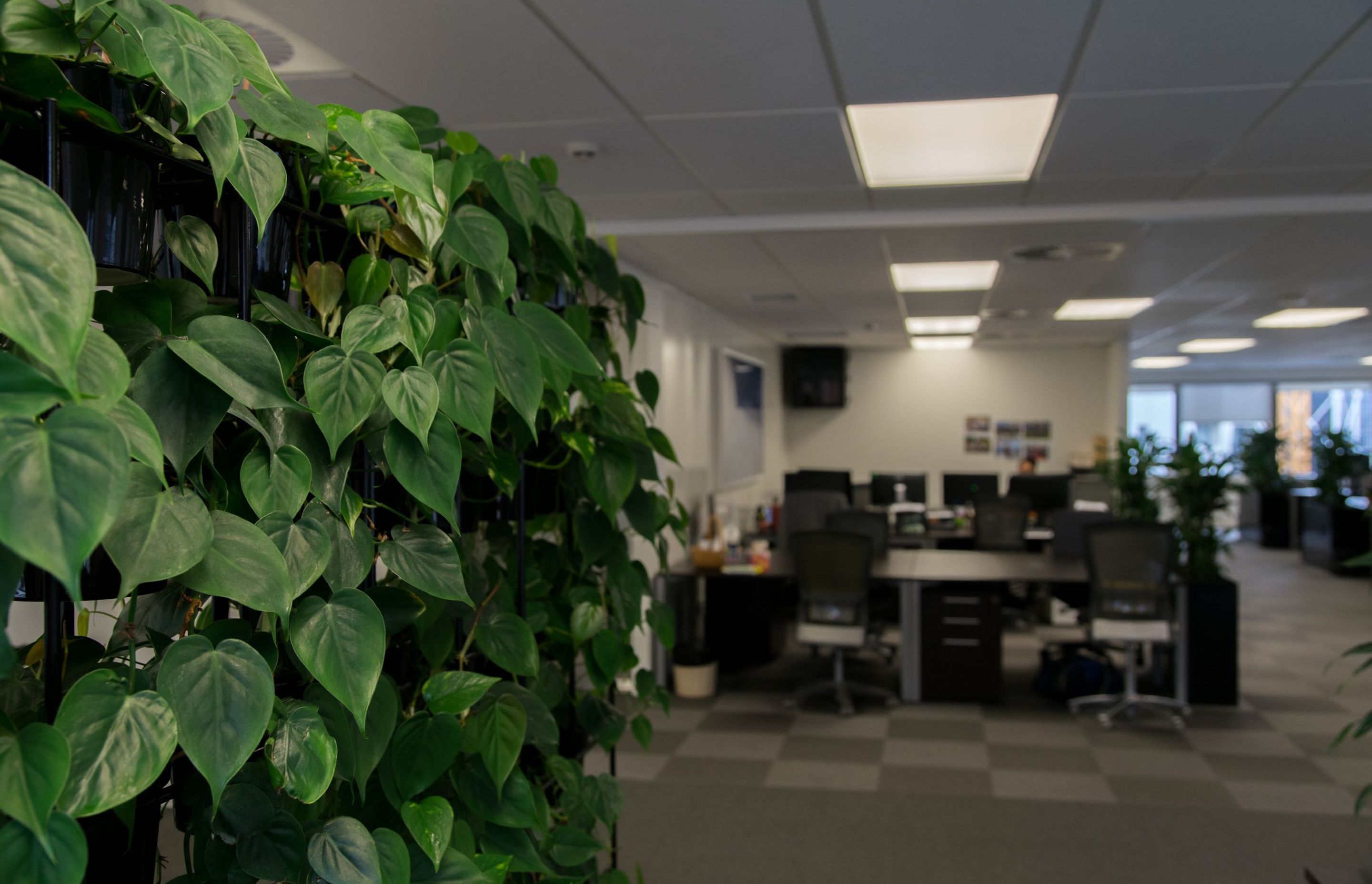 Delta Insurance by Hire Plants | ArchiPro NZ