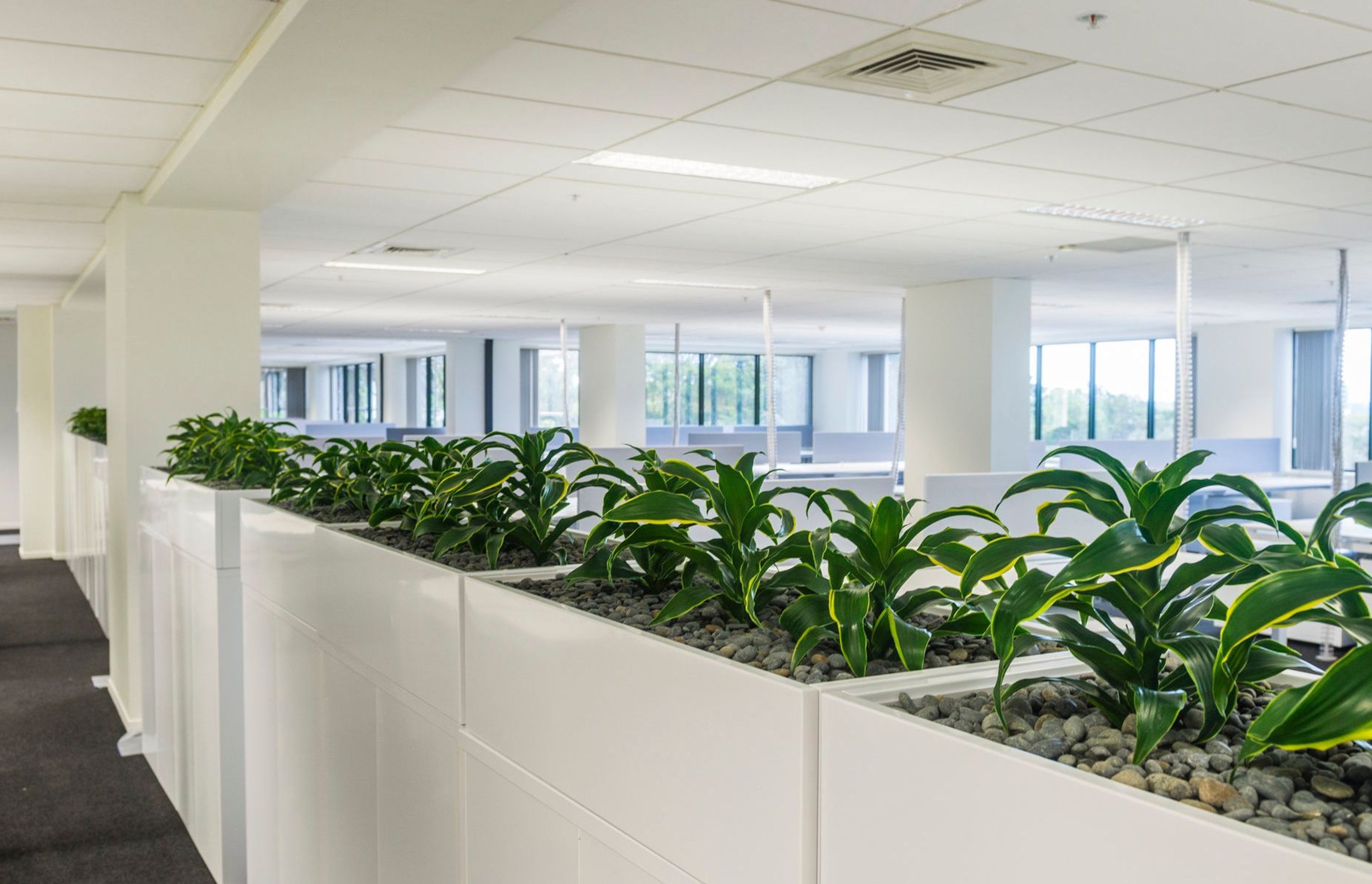 Visionstream Office Refurbishment by Josephine Design | ArchiPro NZ