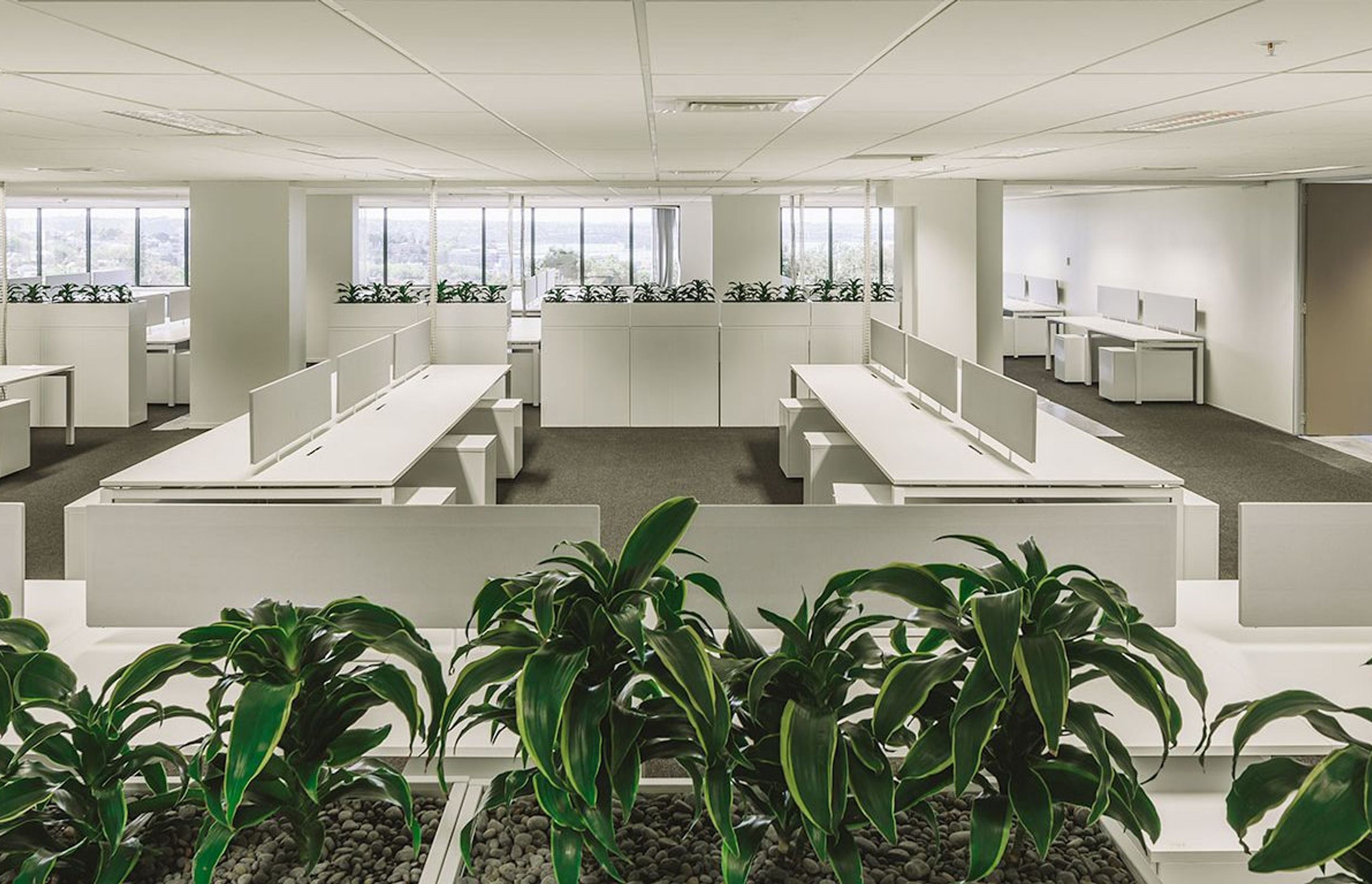 Visionstream Office Refurbishment by Josephine Design | ArchiPro NZ