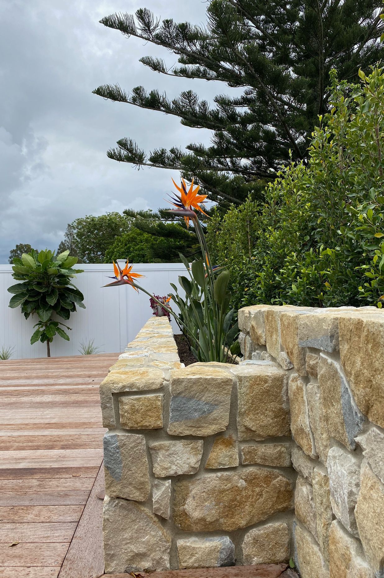 Manly by Design to Build Landscapes | ArchiPro NZ