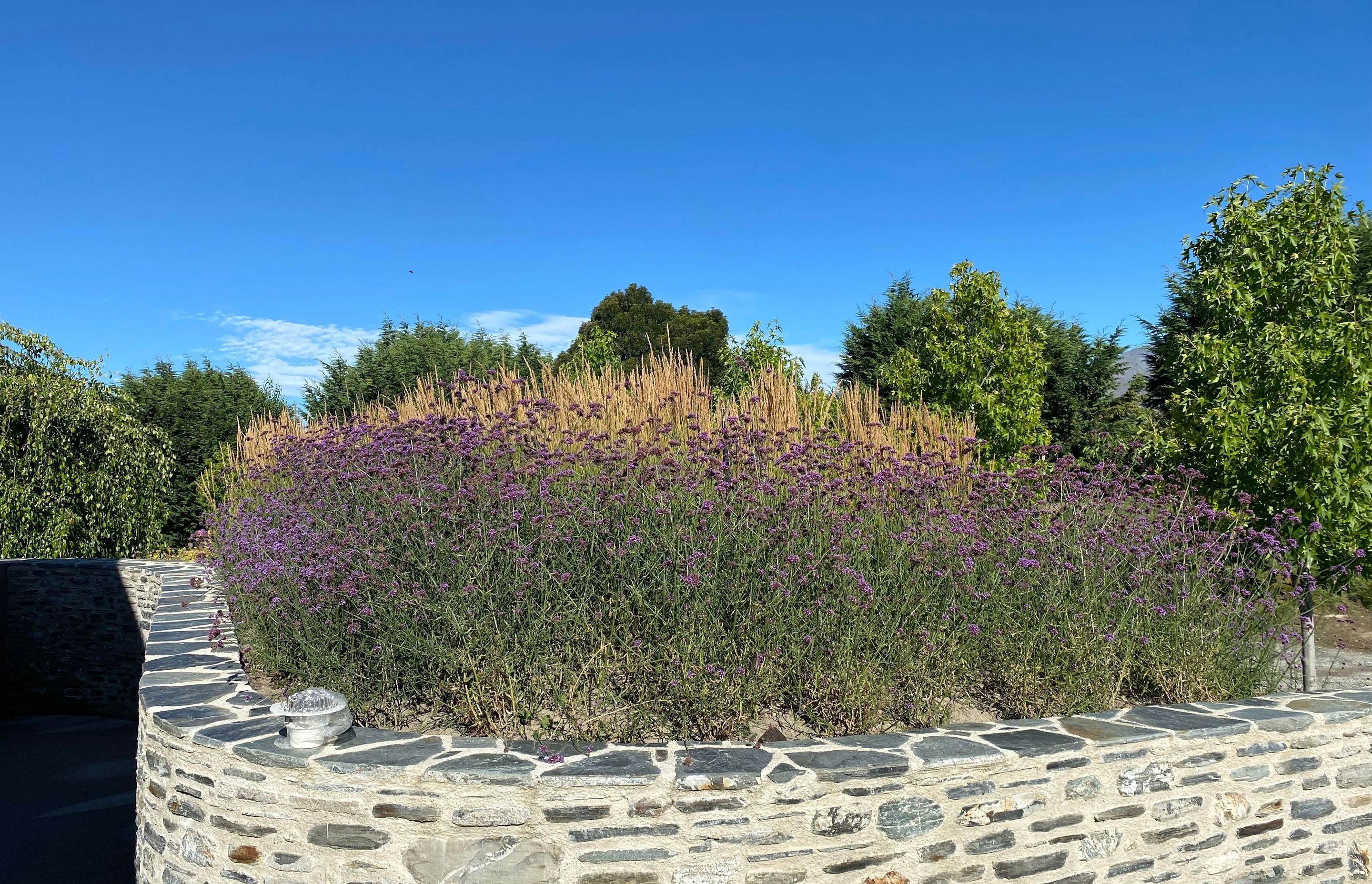 Wings Over Water by JVB Landscape | ArchiPro NZ