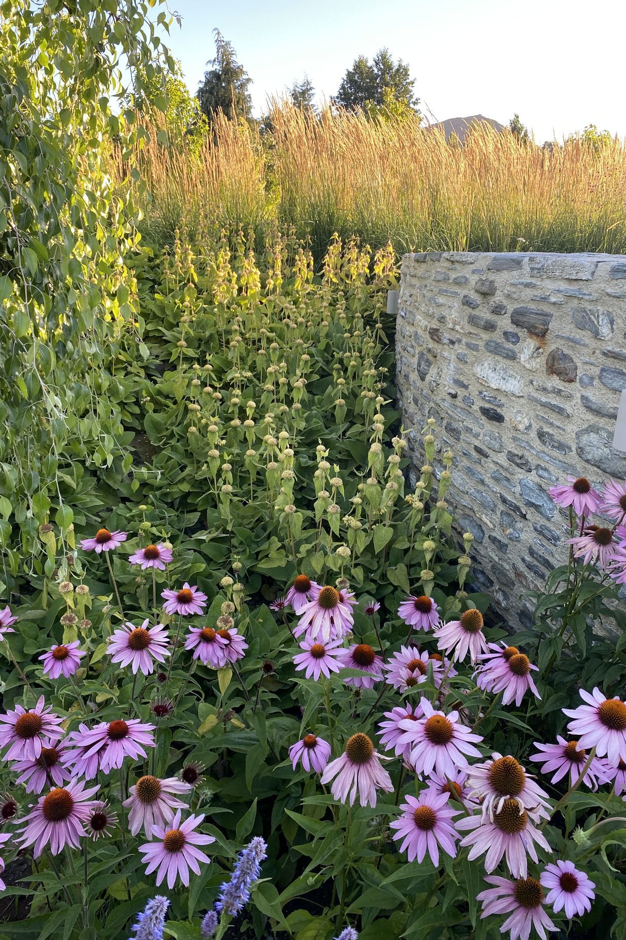 Wings Over Water by JVB Landscape | ArchiPro NZ