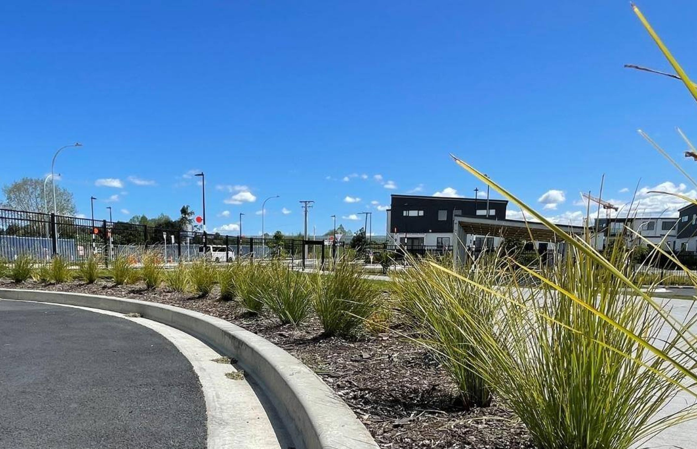 Scott Point Primary by VSL Landscapes | ArchiPro NZ