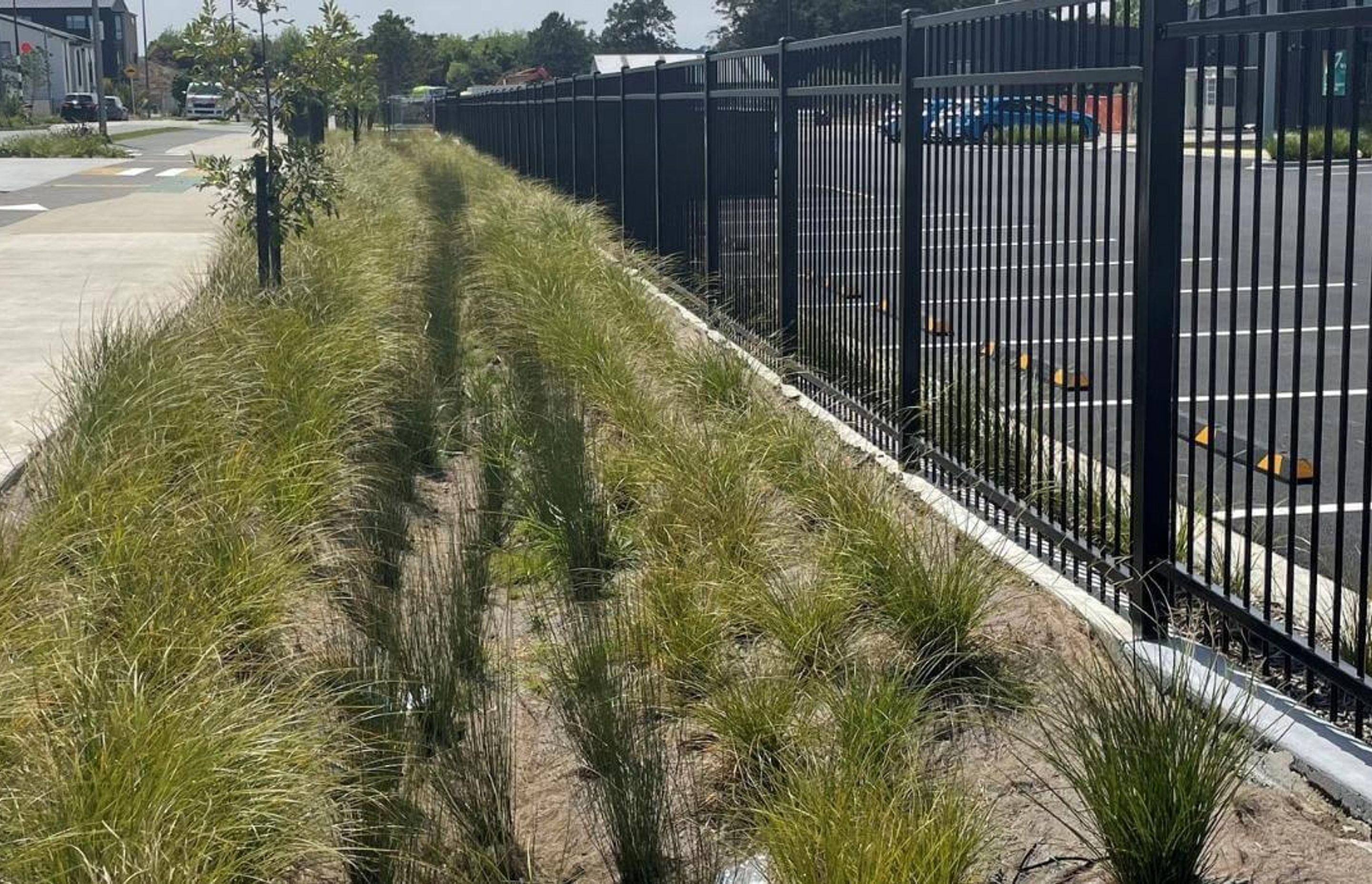 Scott Point Primary by VSL Landscapes | ArchiPro NZ