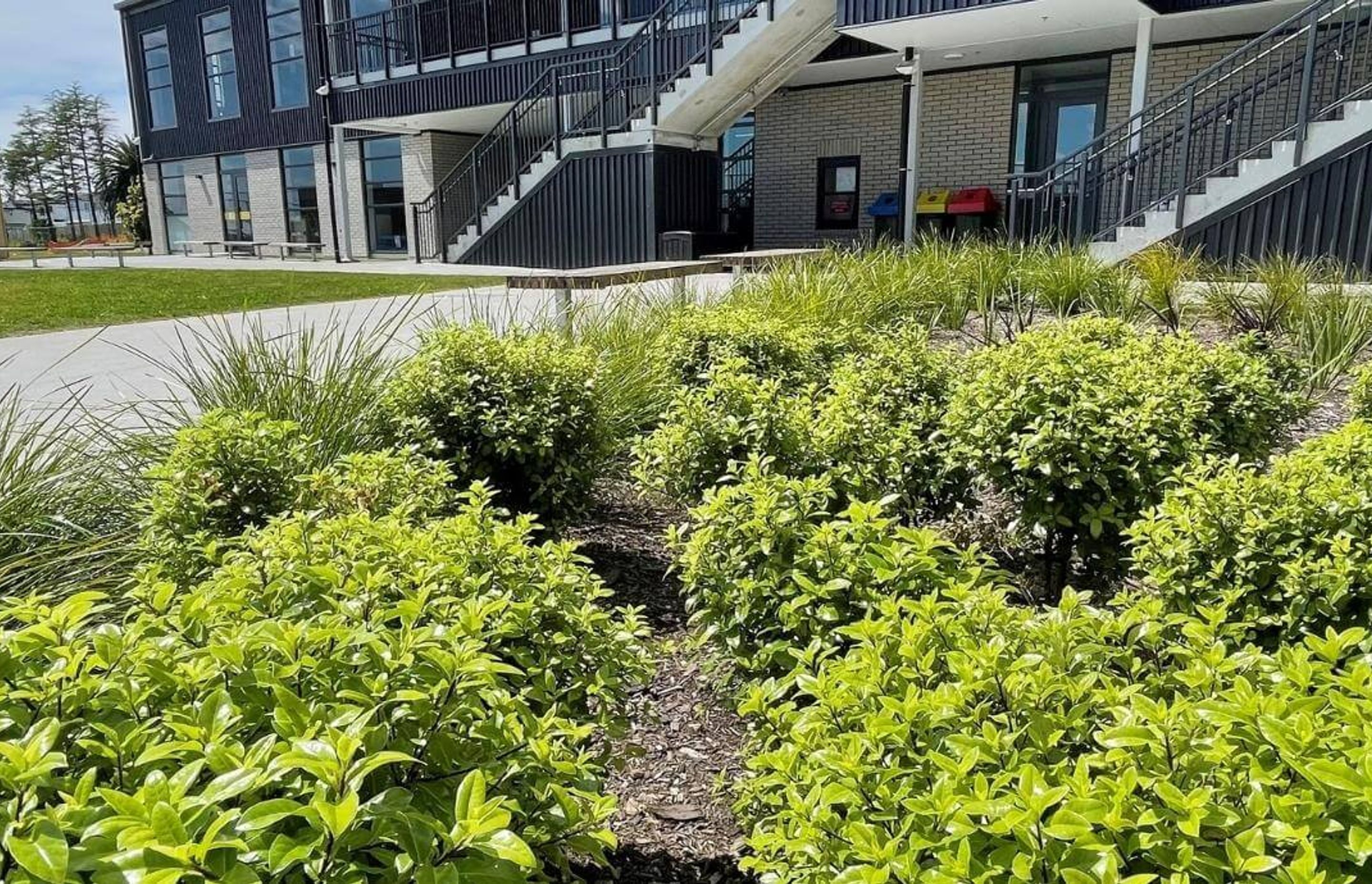 Scott Point Primary by VSL Landscapes | ArchiPro NZ