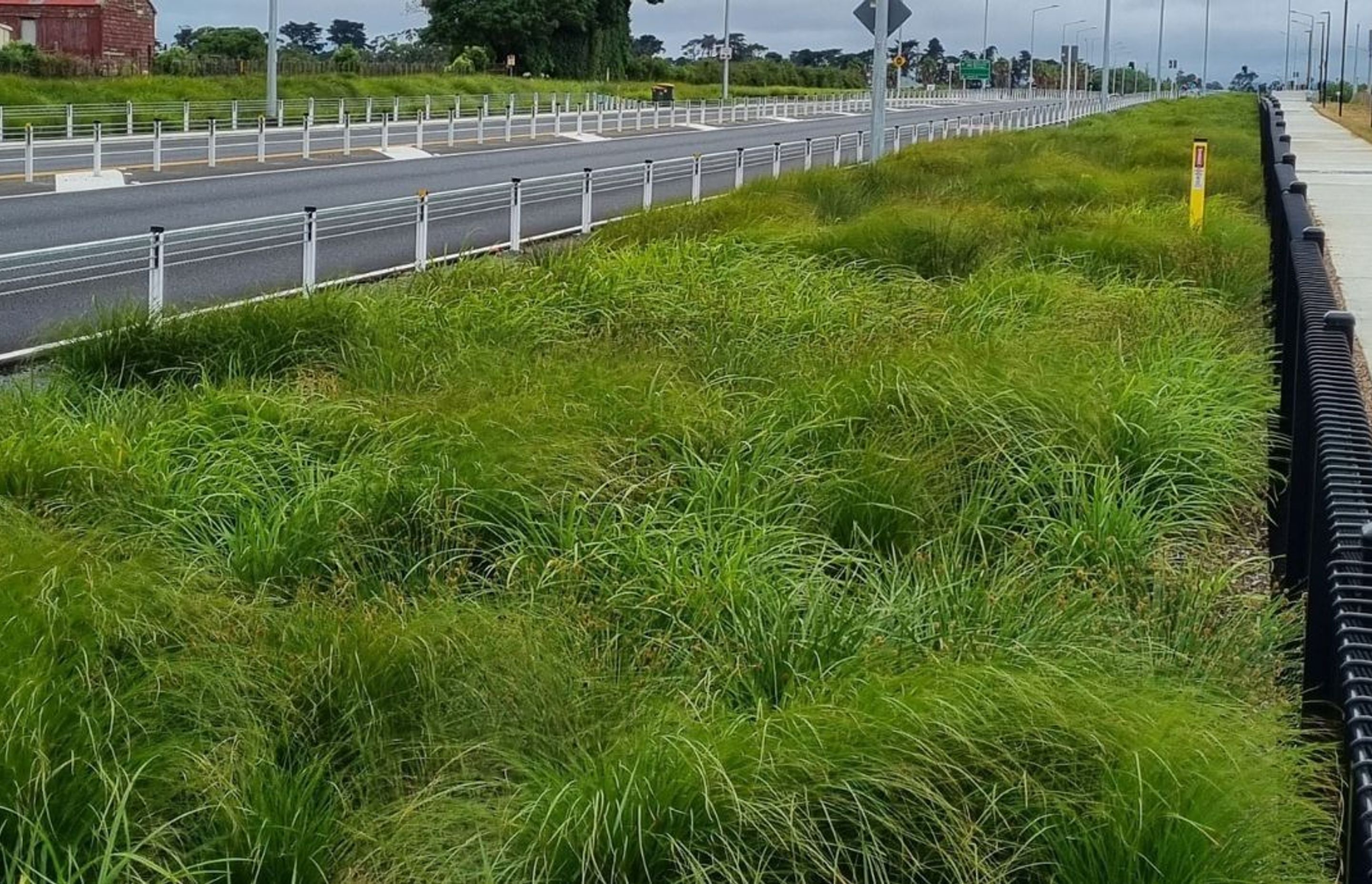State Highway 20B by VSL Landscapes | ArchiPro NZ