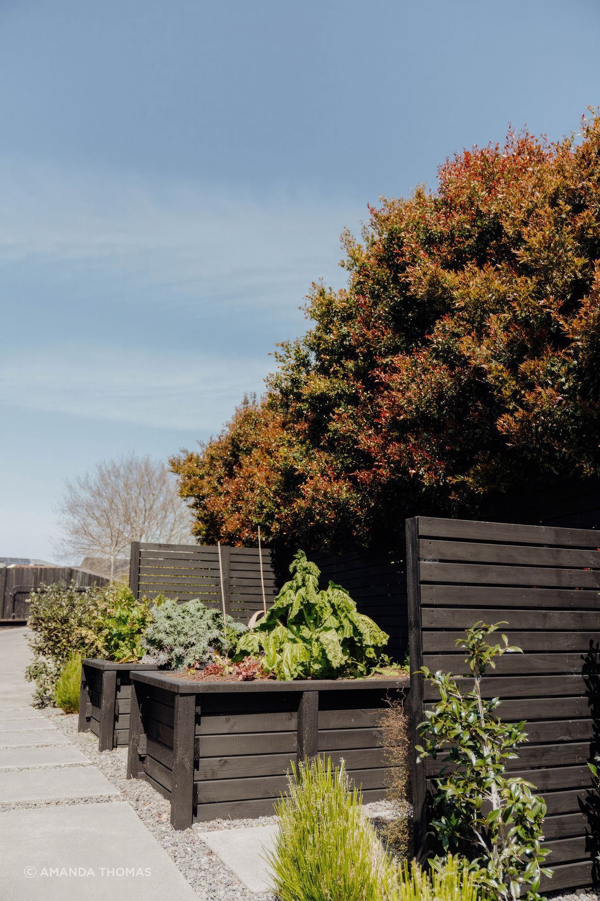 Upper Queen Steet, Pukekohe by Onsite Landscapes | ArchiPro NZ