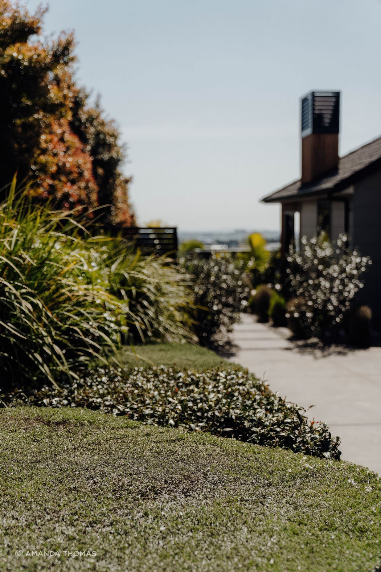 Upper Queen Steet, Pukekohe by Onsite Landscapes | ArchiPro NZ