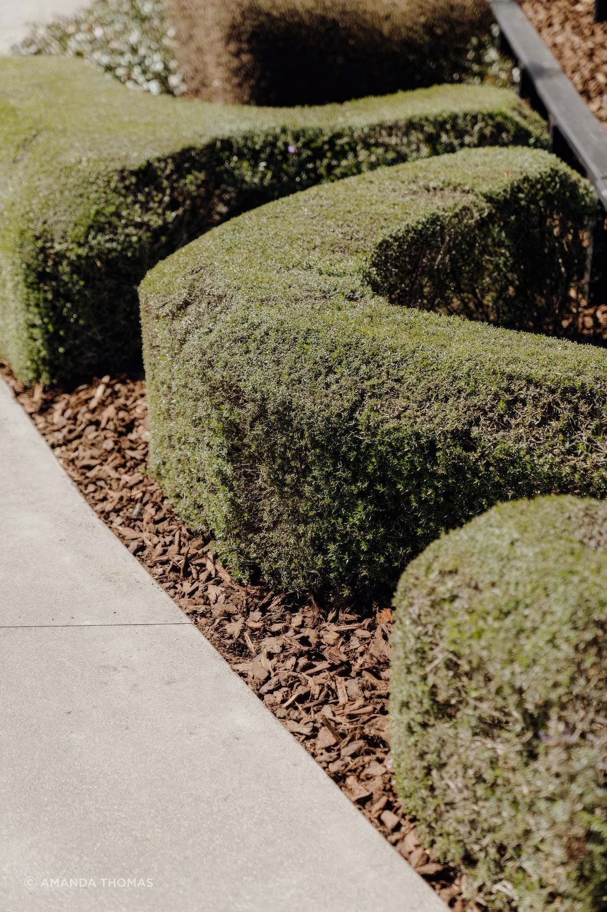Upper Queen Steet, Pukekohe by Onsite Landscapes | ArchiPro NZ