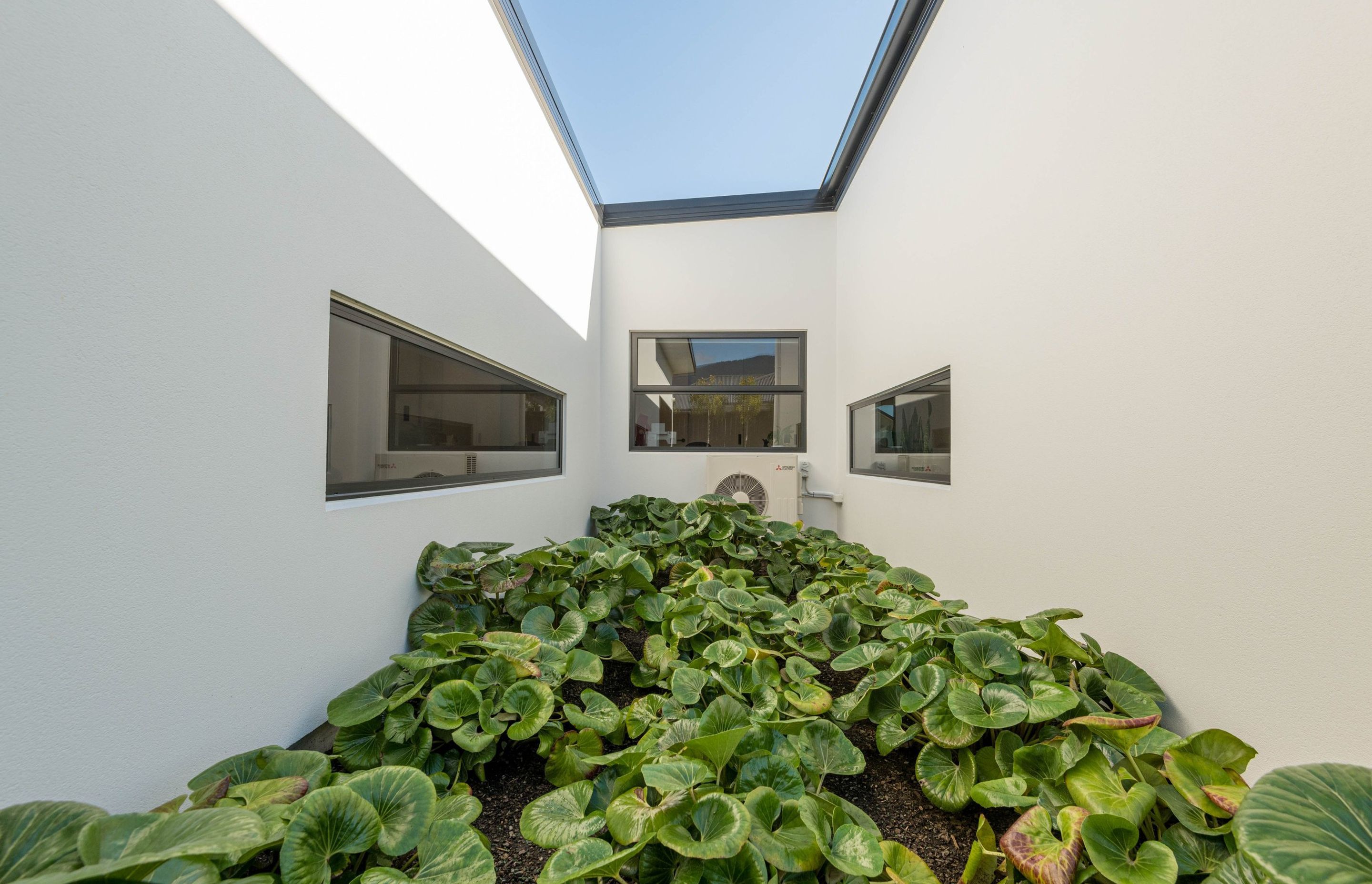 Project Daelyn by MOORE | ArchiPro NZ