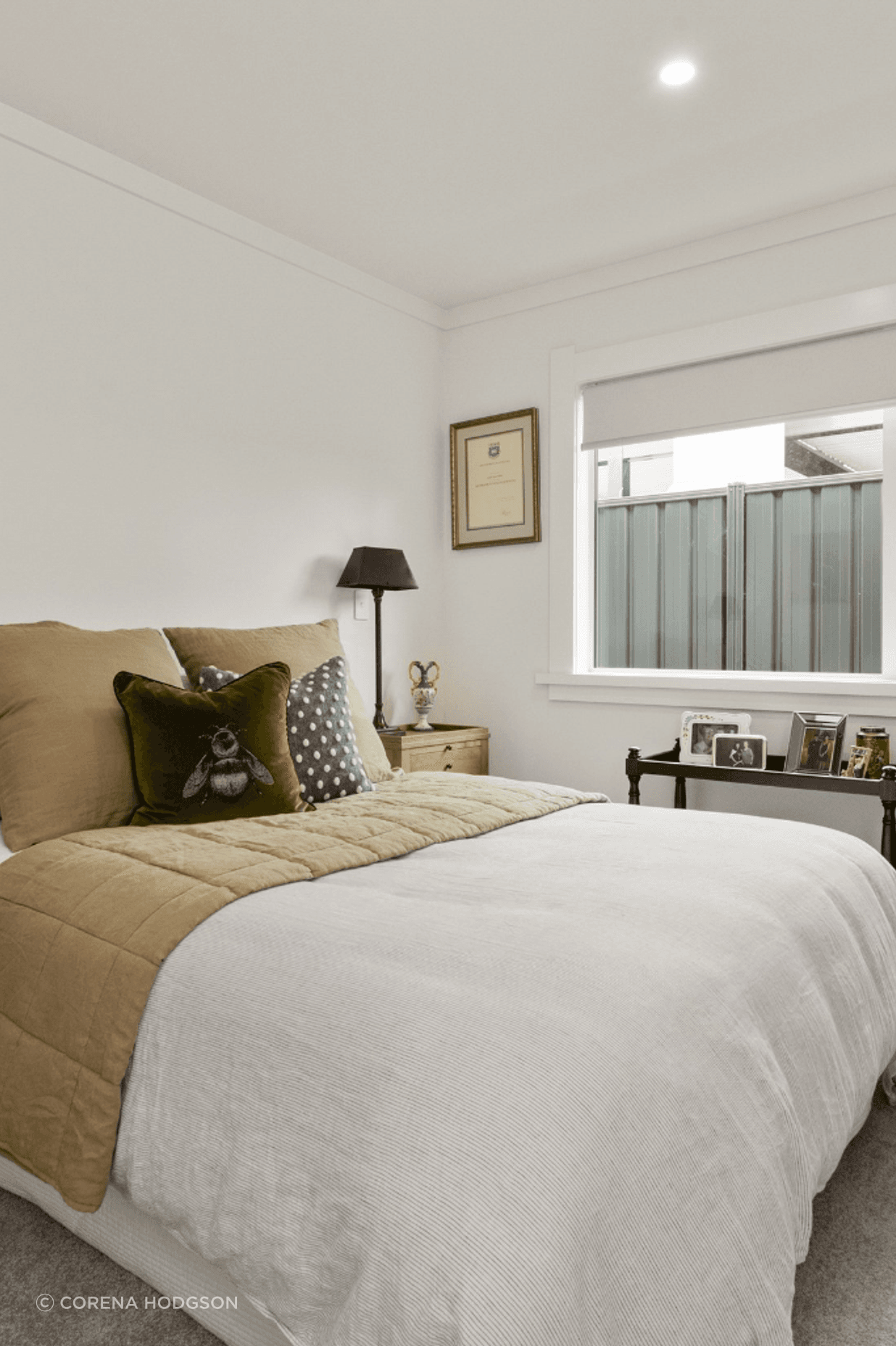 Rich Rise by Aaron Dodd Homes | ArchiPro NZ