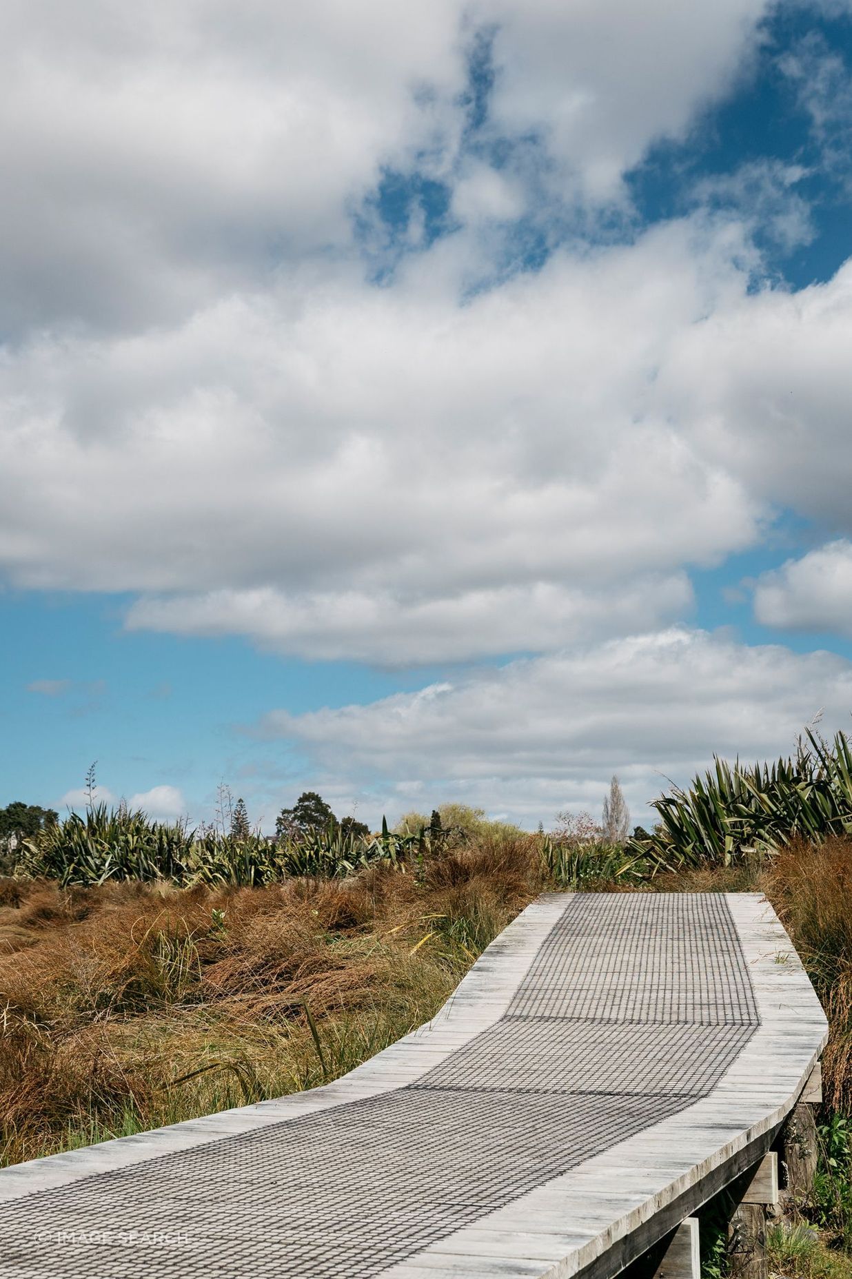Long Bay by Image Search | ArchiPro NZ