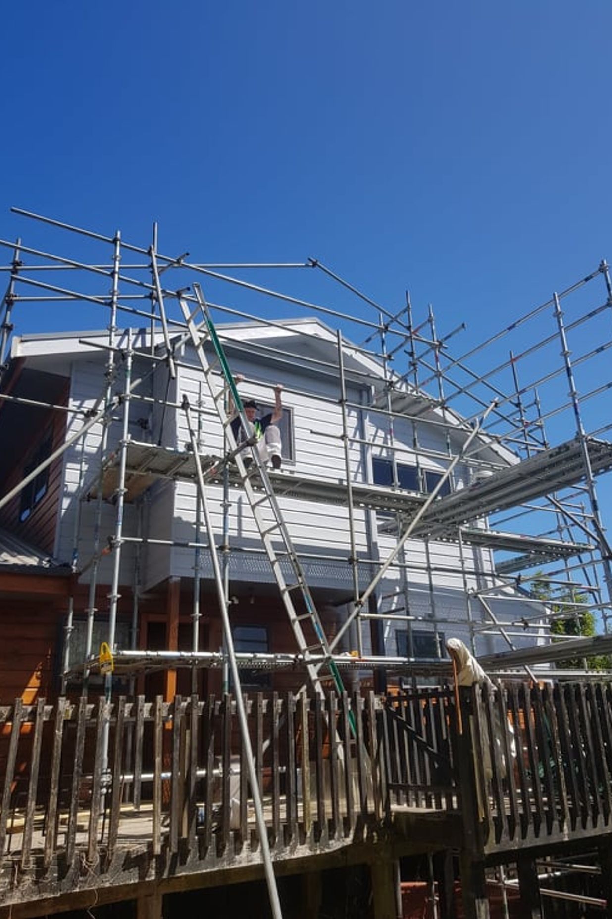 Free Styling White and Half Tuna by SRA Painting and Decorating ...