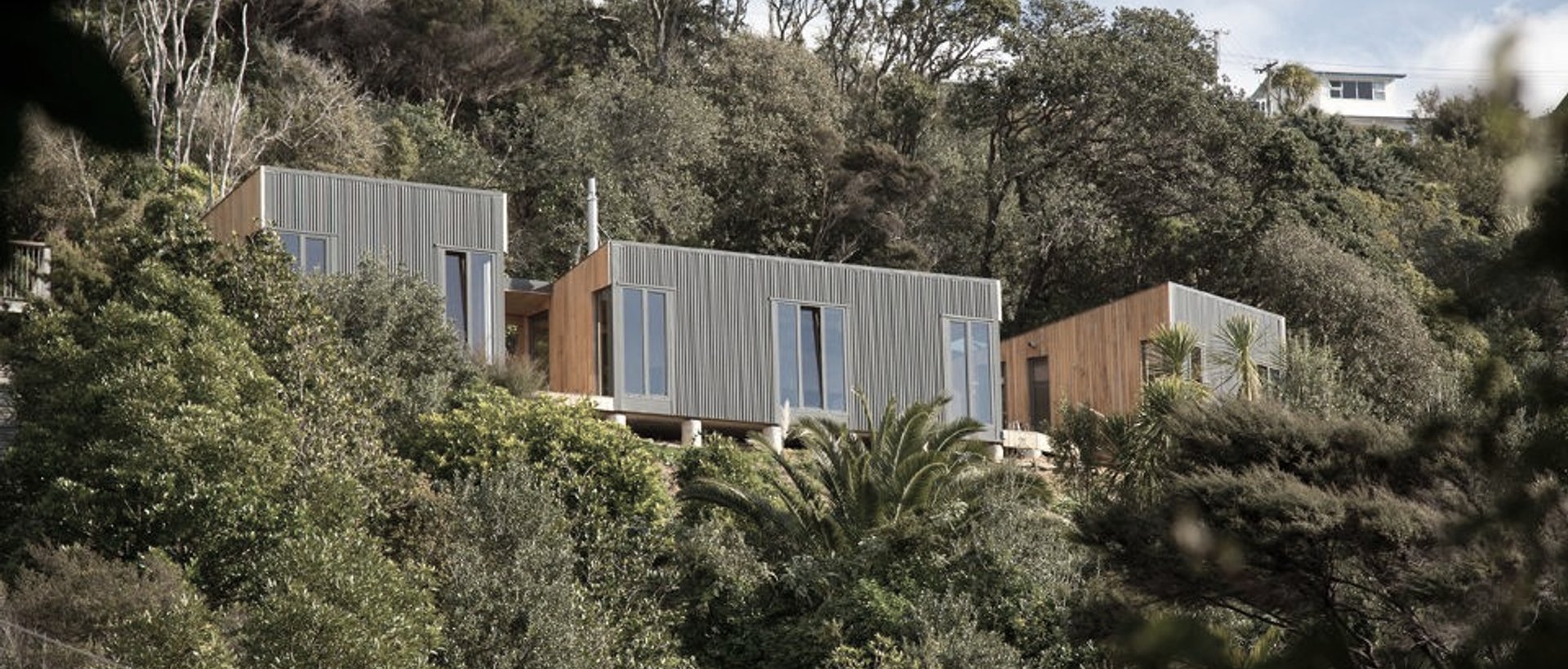 Cora House by Bonnifait + Associates Architects | ArchiPro NZ