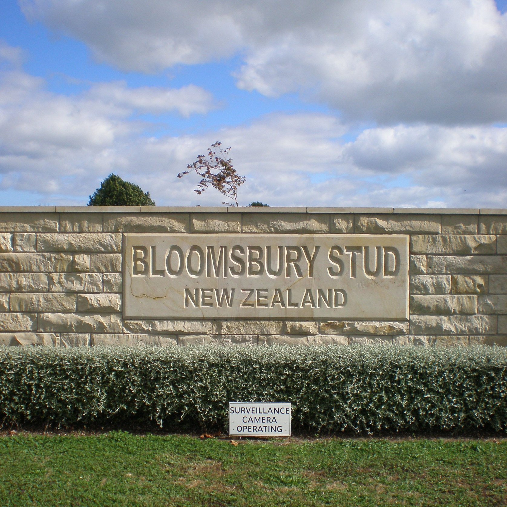 Natural Stone Wall Solutions | ArchiPro NZ