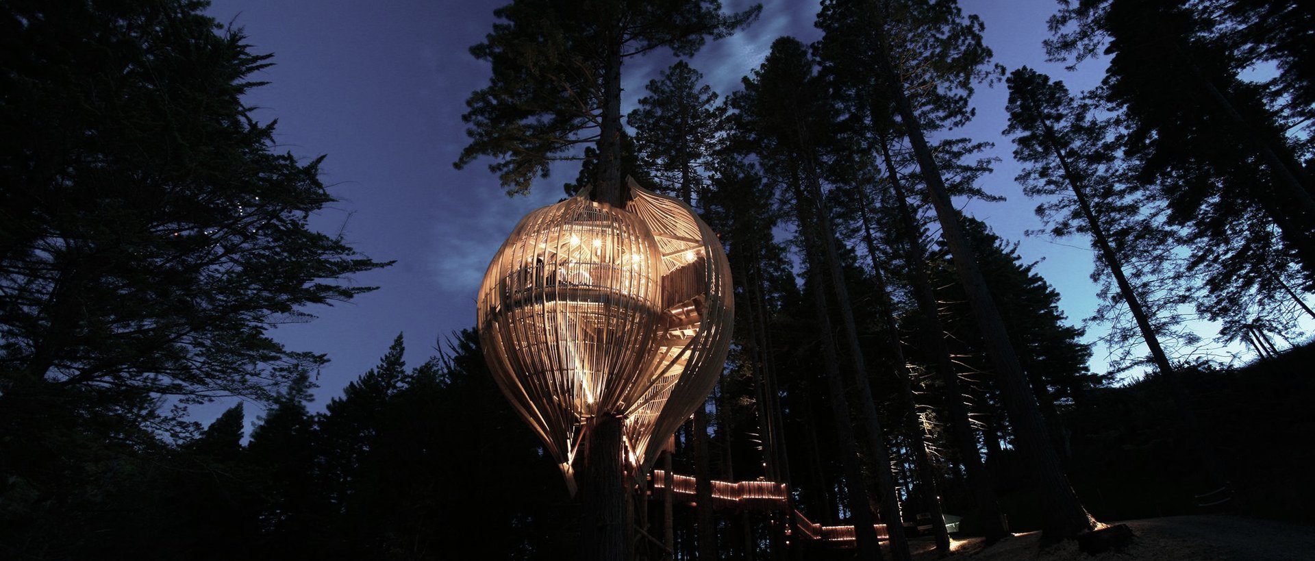 Yellow Treehouse Restaurant by Pacific Environments Architects ...