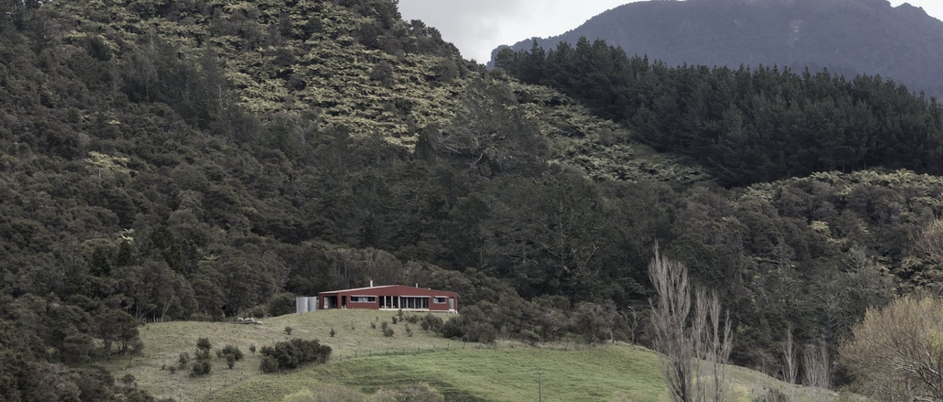 Puketui Valley House by RTA Studio | ArchiPro NZ