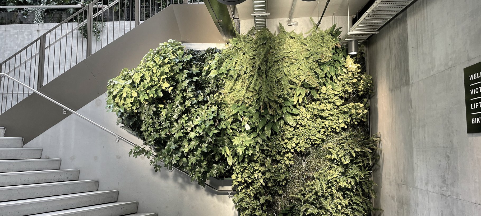 The green tech changing our urban landscape: how to use it in your project