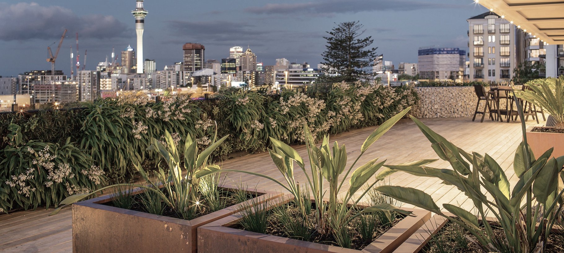 How to add easy-care greenery to the home or office