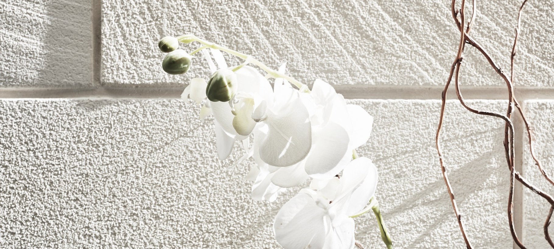 Oamaru Stone - New Zealand’s Limestone since 1900