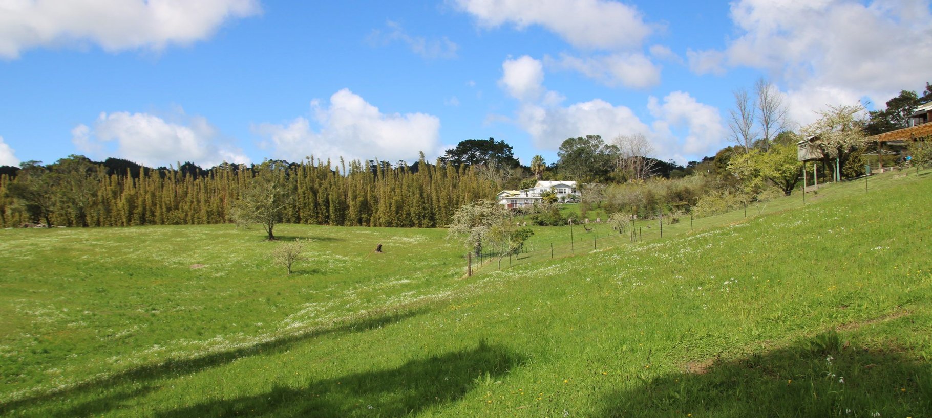 Rural Subdivision FAQs