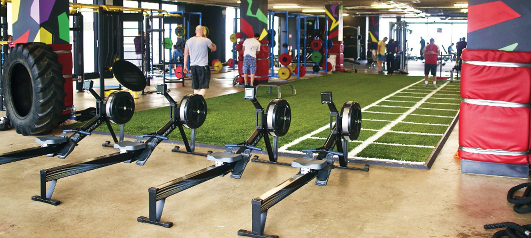 Transform Your Gym: The Benefits of Artificial Grass for Optimal ...