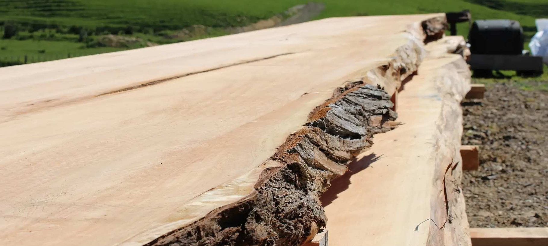 Wood Slabs in Commercial Spaces - Hansen Timber