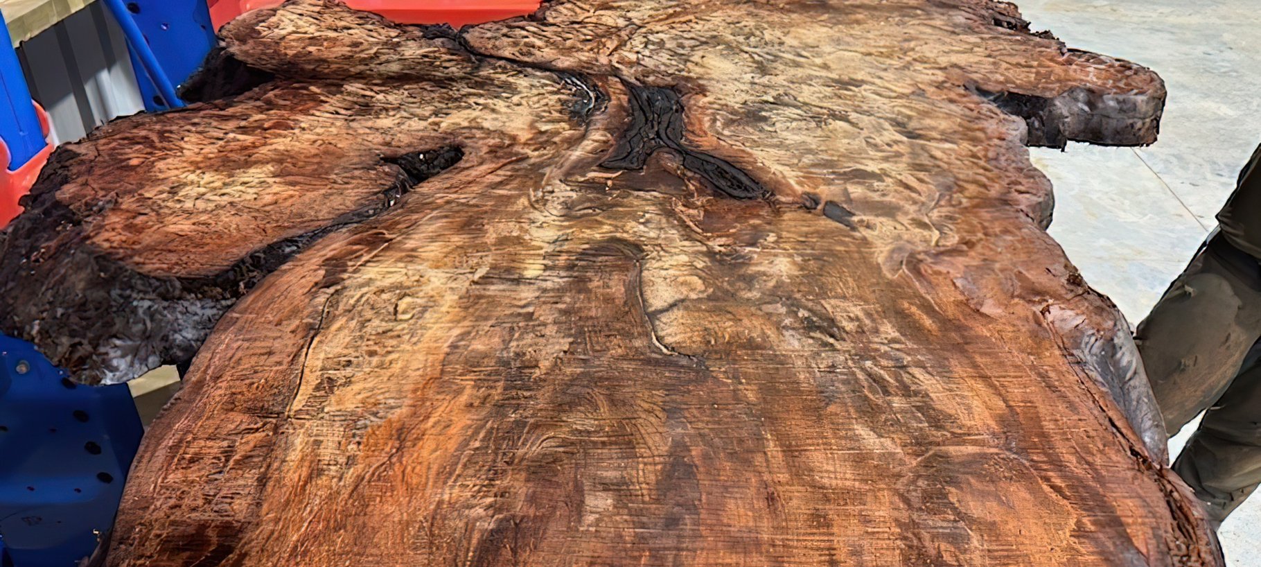 Comparing Swamp Kauri, Eucalyptus & Macrocarpa Wood Slabs