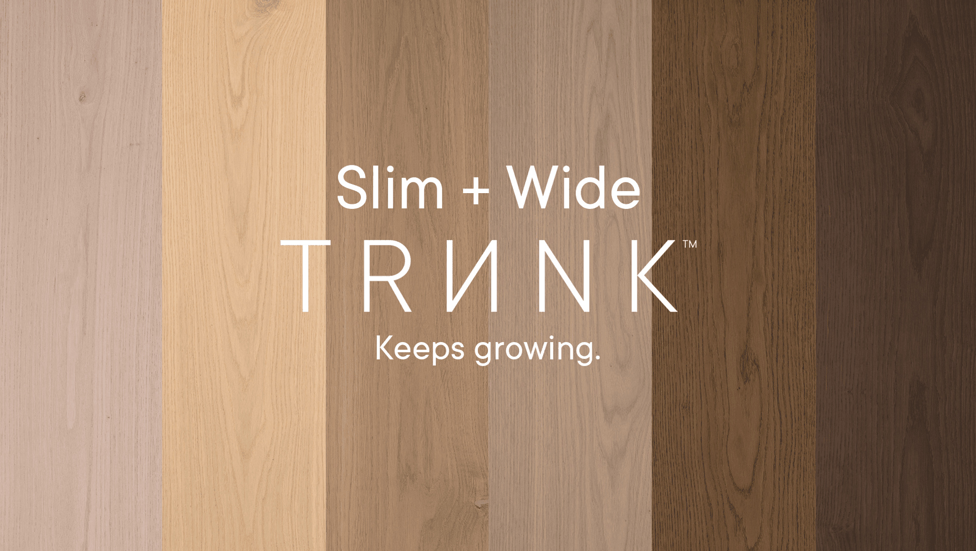 TRUNK™ Keeps Growing