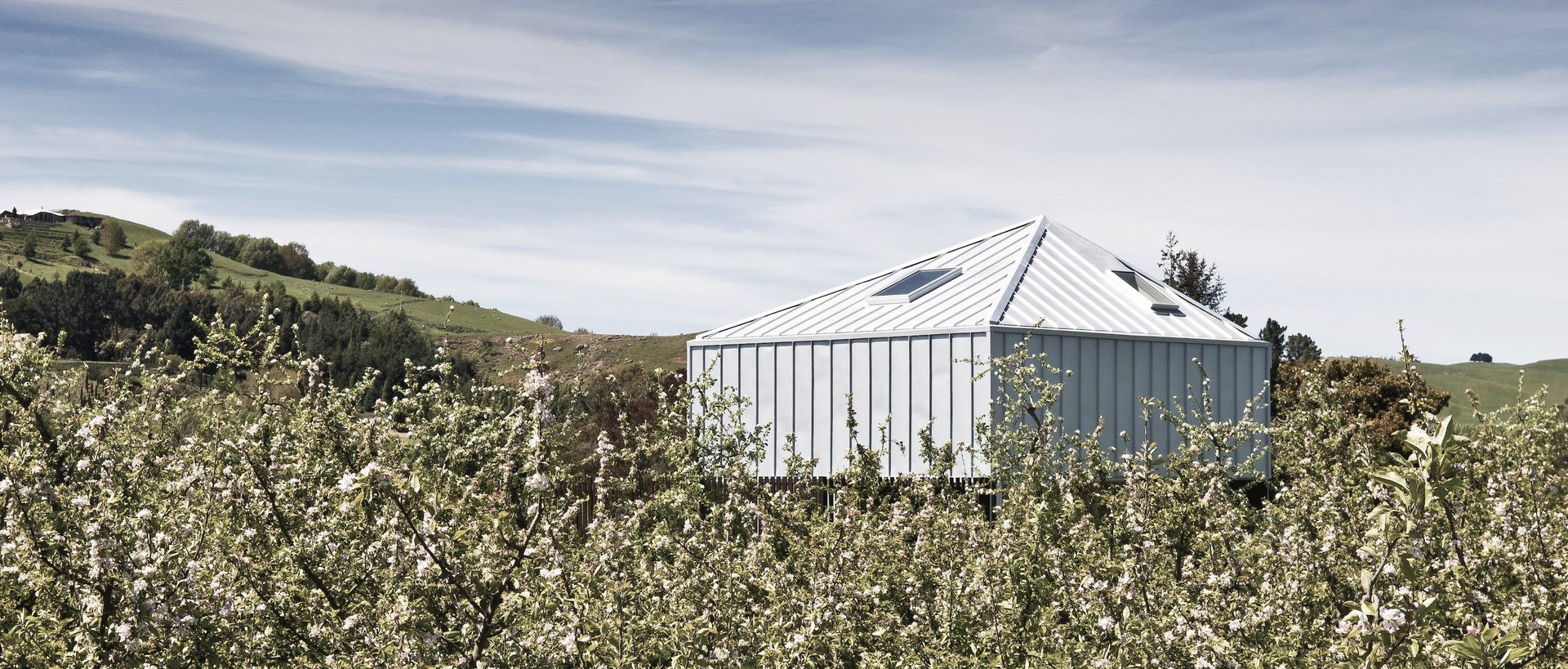 McKenzie House by Bonnifait + Associates Architects | ArchiPro NZ