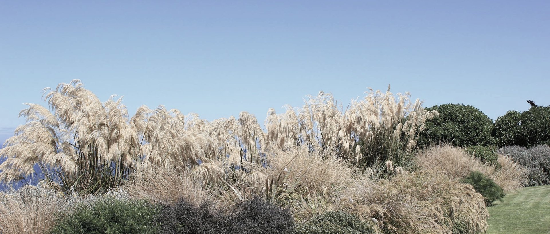 A Sea View by Design + Garden Landscapes | ArchiPro NZ