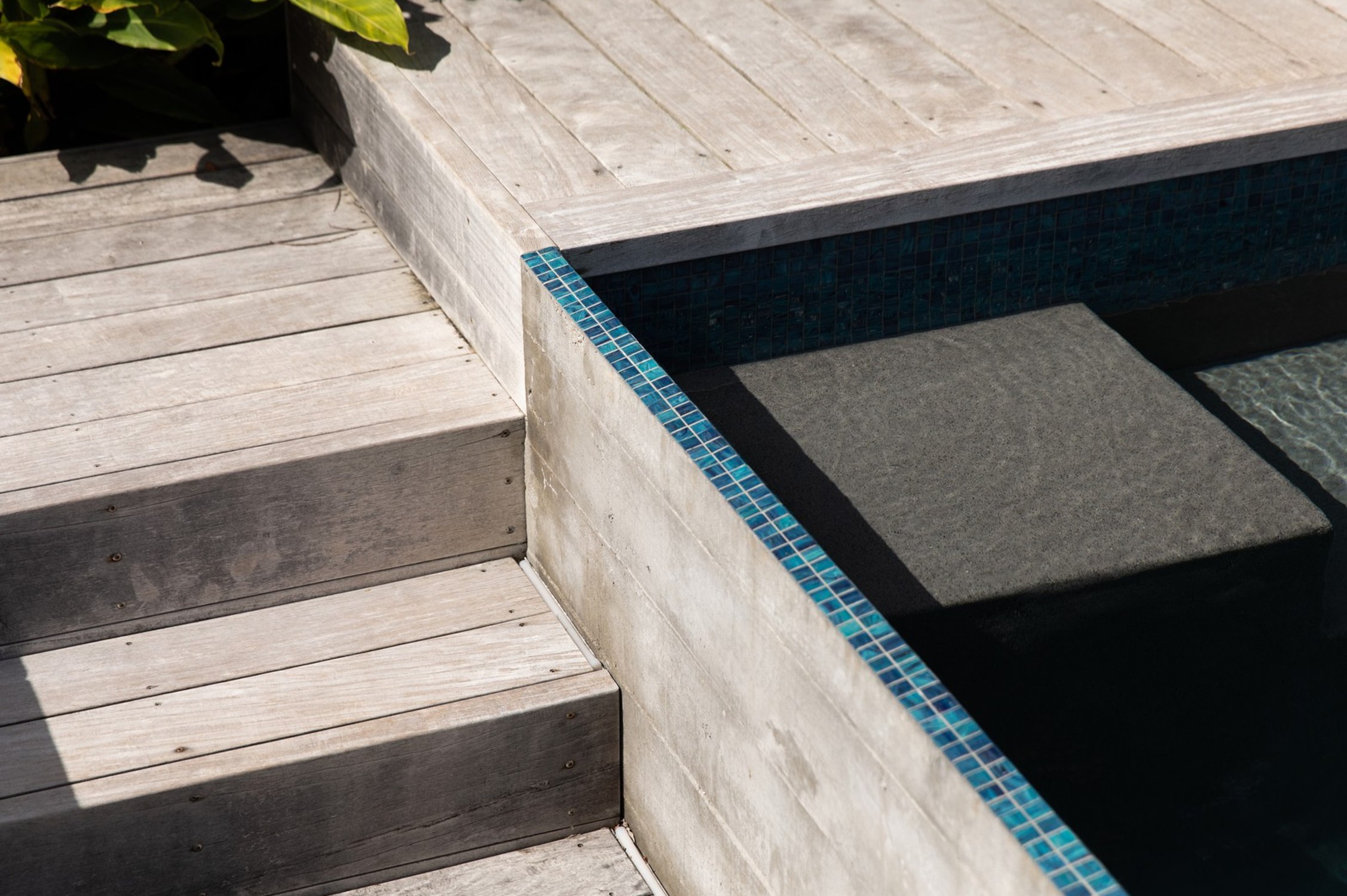 Ariki Street Topia Garden Design | ArchiPro NZ